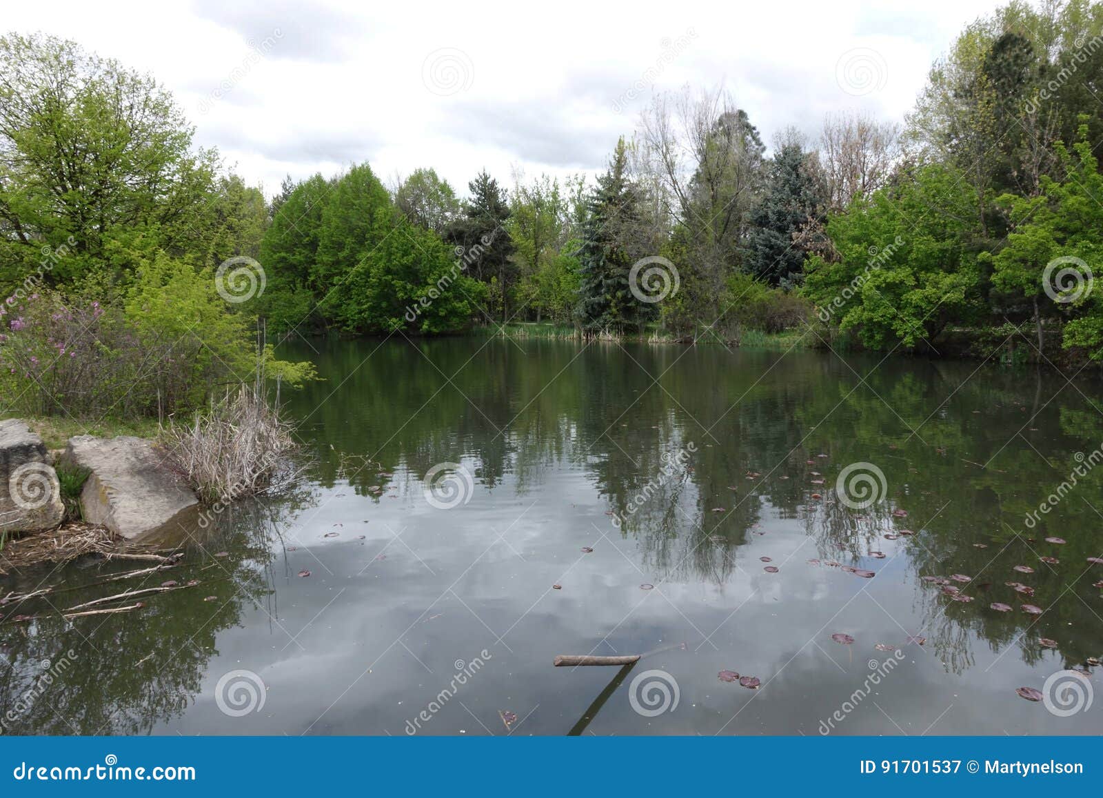 Pond in a City Park at Boise, Idaho. Stock Image - Image of reflection ...