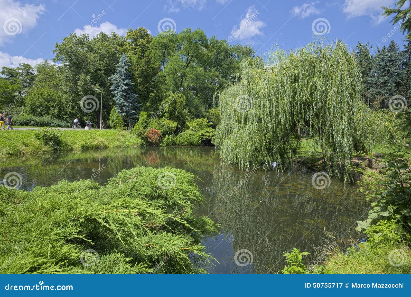 Pond in the city park stock image. Image of city, summer - 50755717
