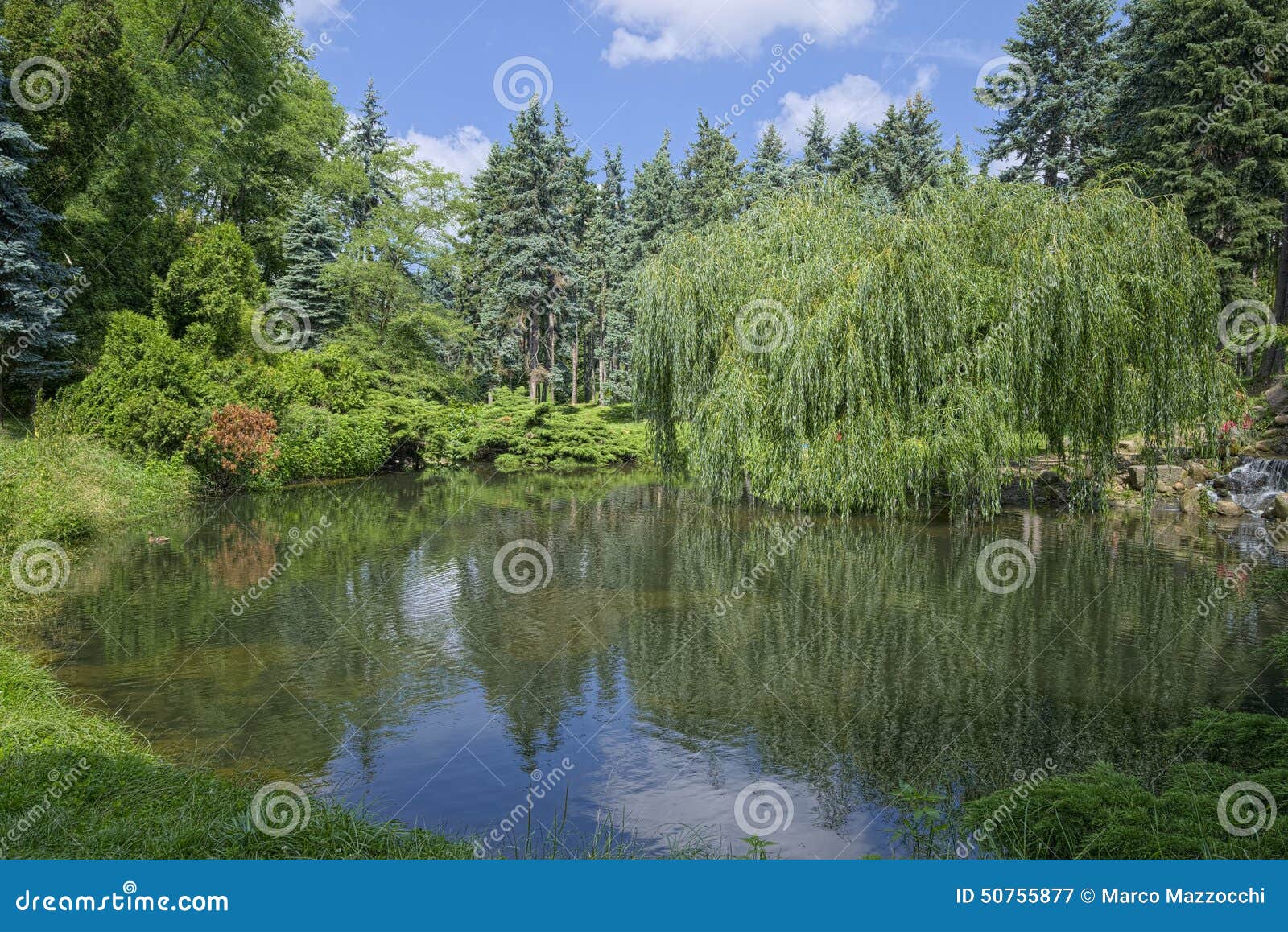 Pond in the city park stock image. Image of blue, leaf - 50755877
