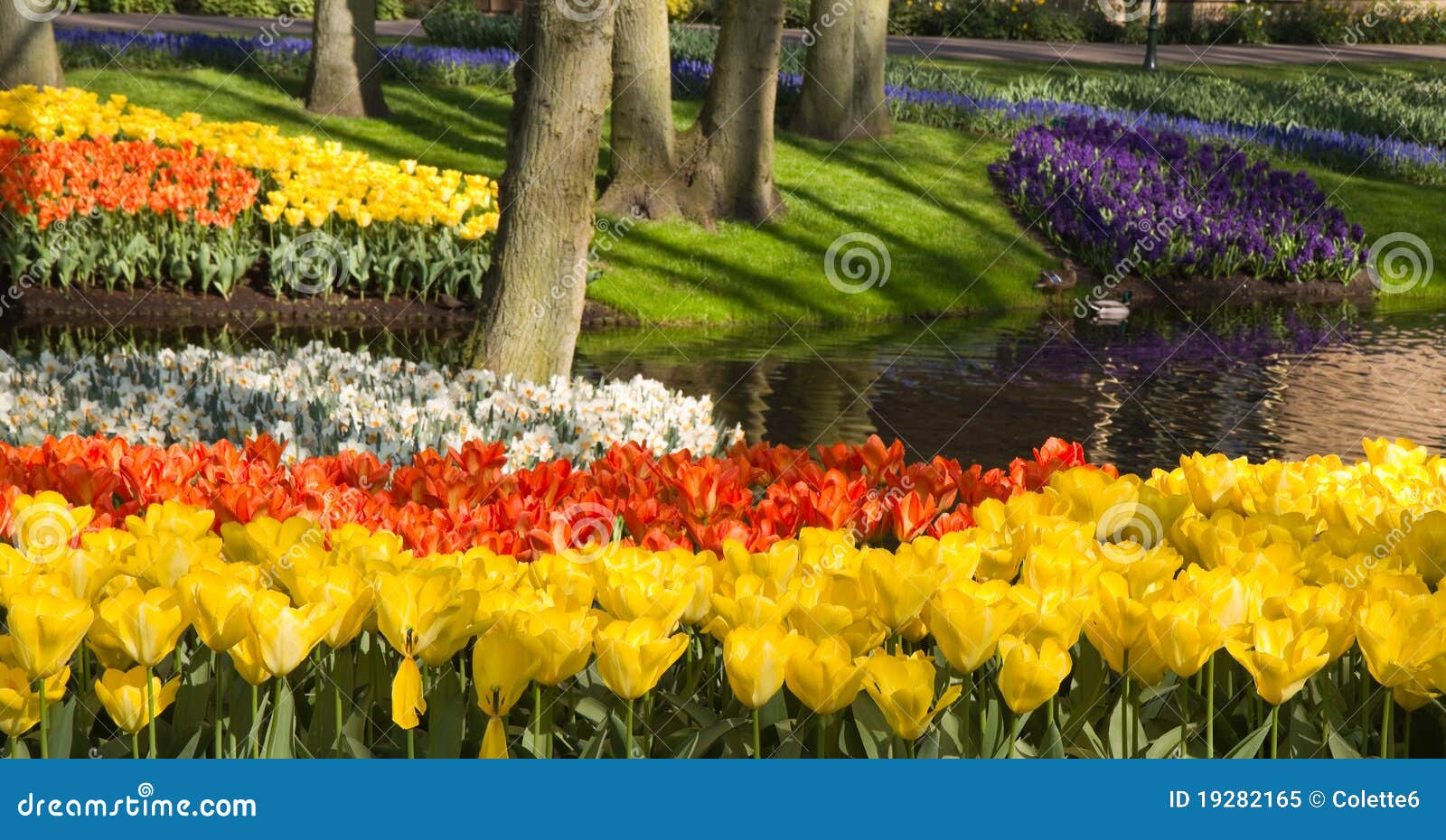 Pond with Colorful Springflowers Stock Image - Image of flora, nature ...