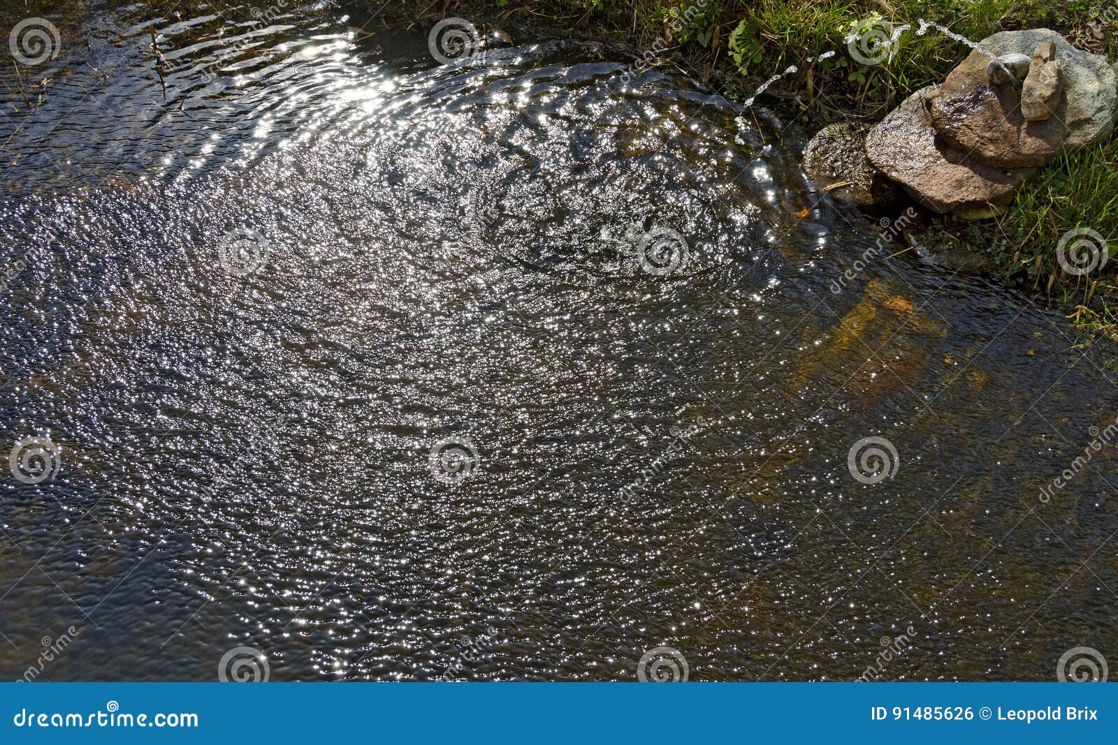 Pond with concentric waves stock photo. Image of garden - 91485626