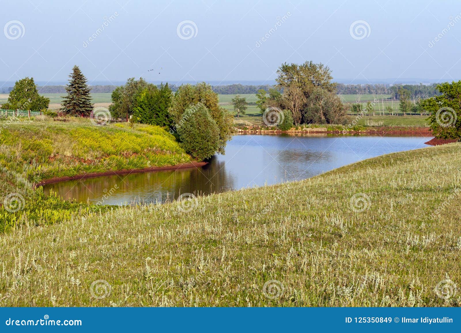 Pond in the countryside. stock image. Image of countryside - 125350849