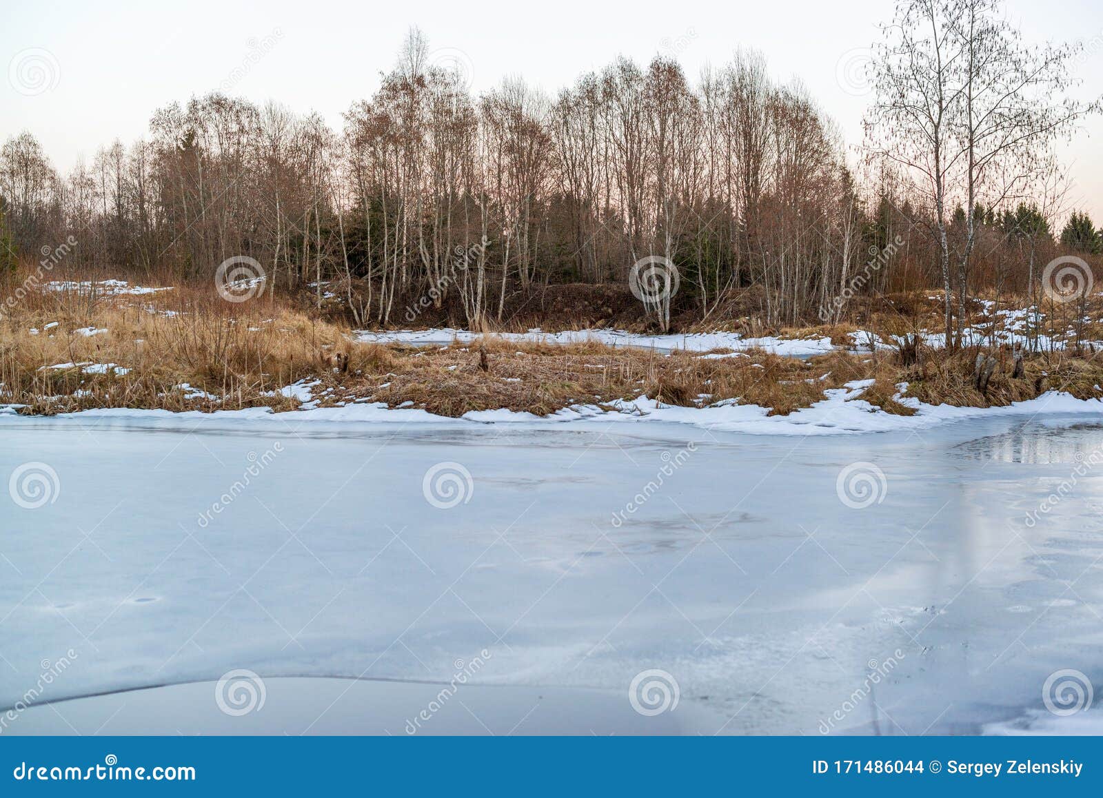 Pond Covered with Melting Ice with Reflections of Spring Sky and Trees ...