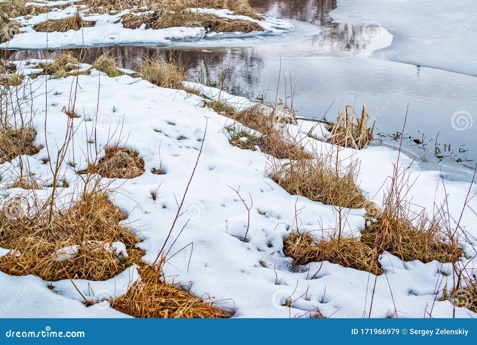 Pond Covered with Melting Ice with Reflections of Spring Sky and Trees ...