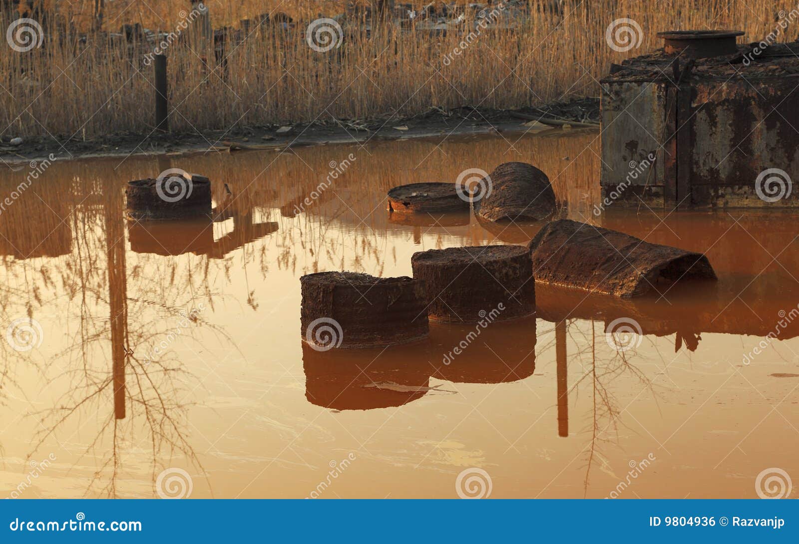 The pond of death stock photo. Image of romania, dusk - 9804936