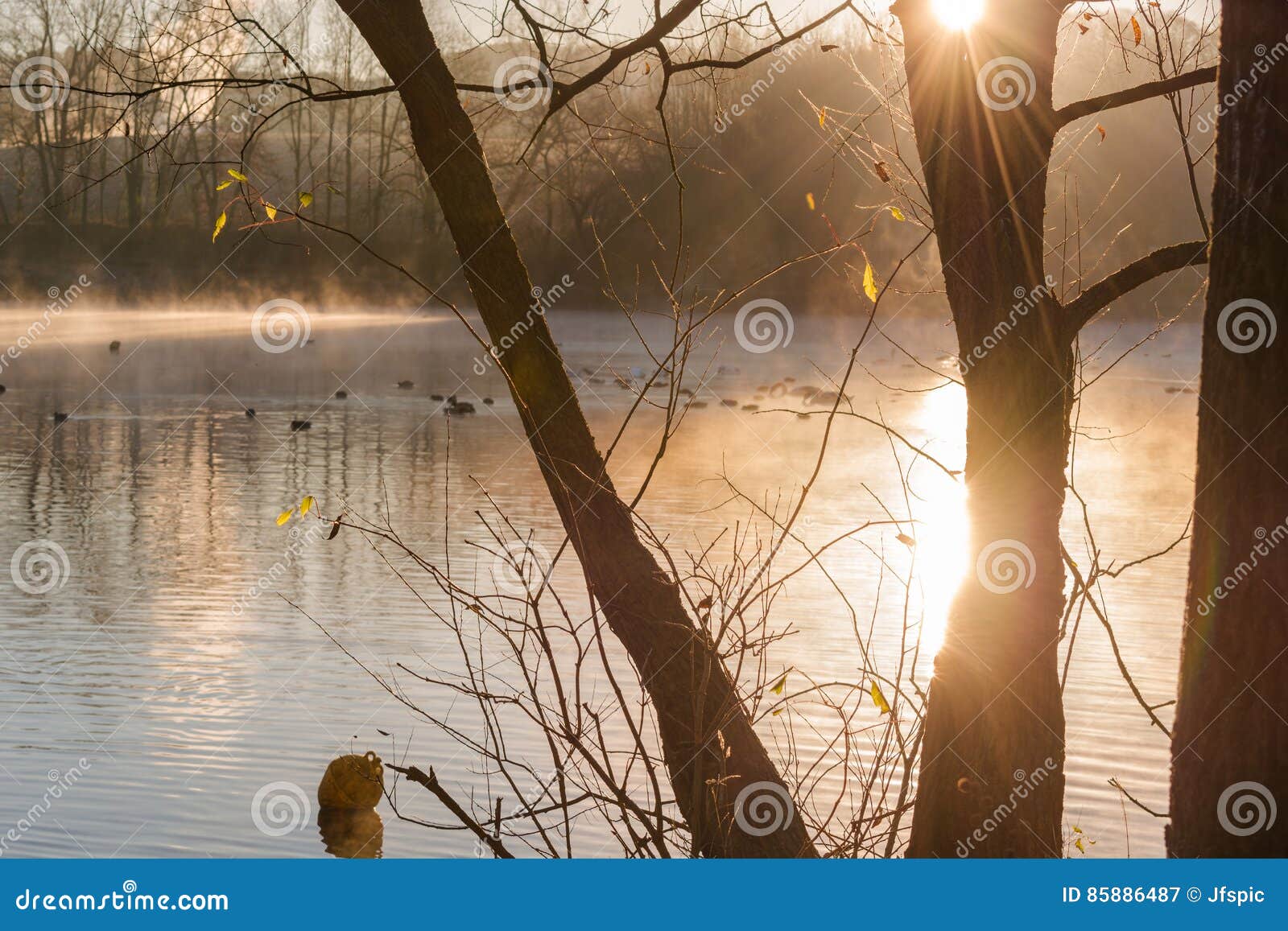 Pond in the Diffuse Morning Fog Stock Image - Image of mood, diffuse ...