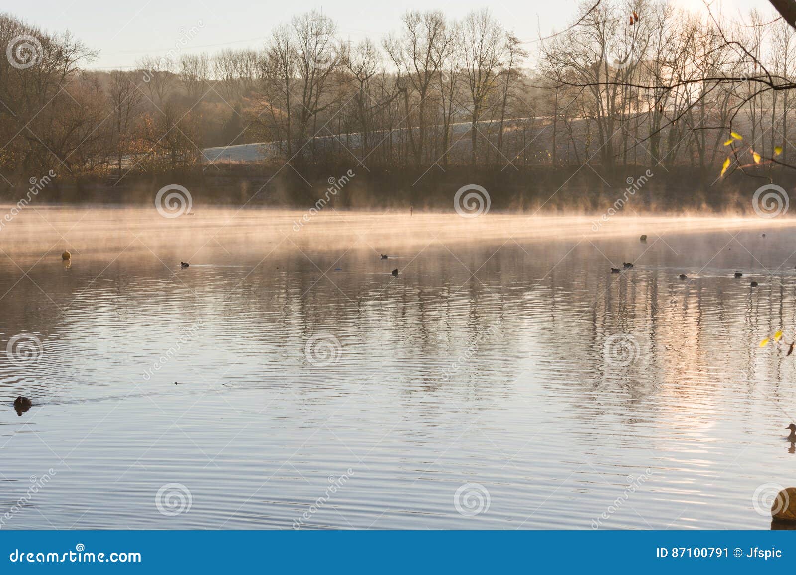 Pond in the Diffuse Morning Fog Stock Image - Image of meadow, grasses ...
