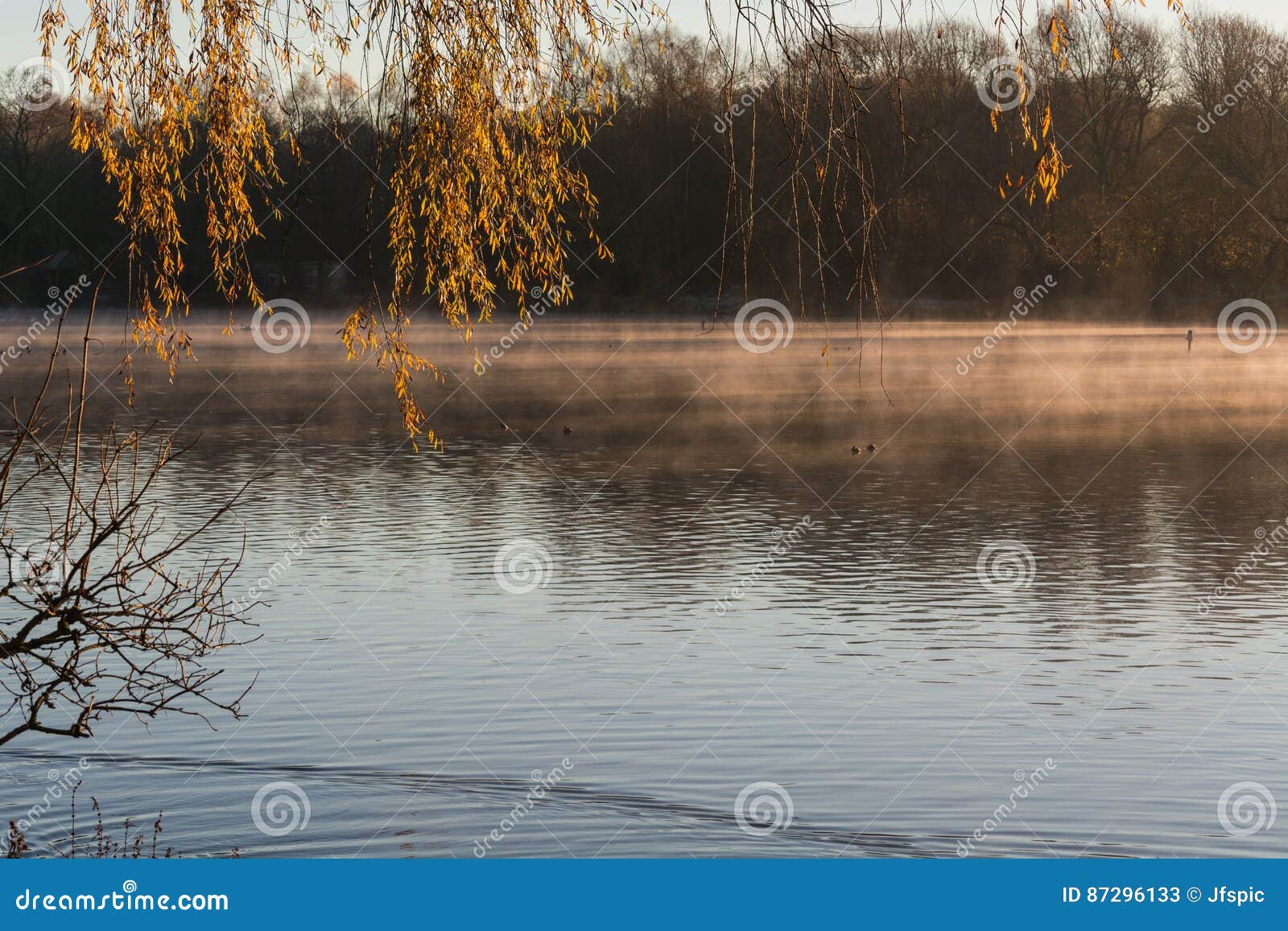 Pond in the Diffuse Morning Fog Stock Image - Image of haze, close ...