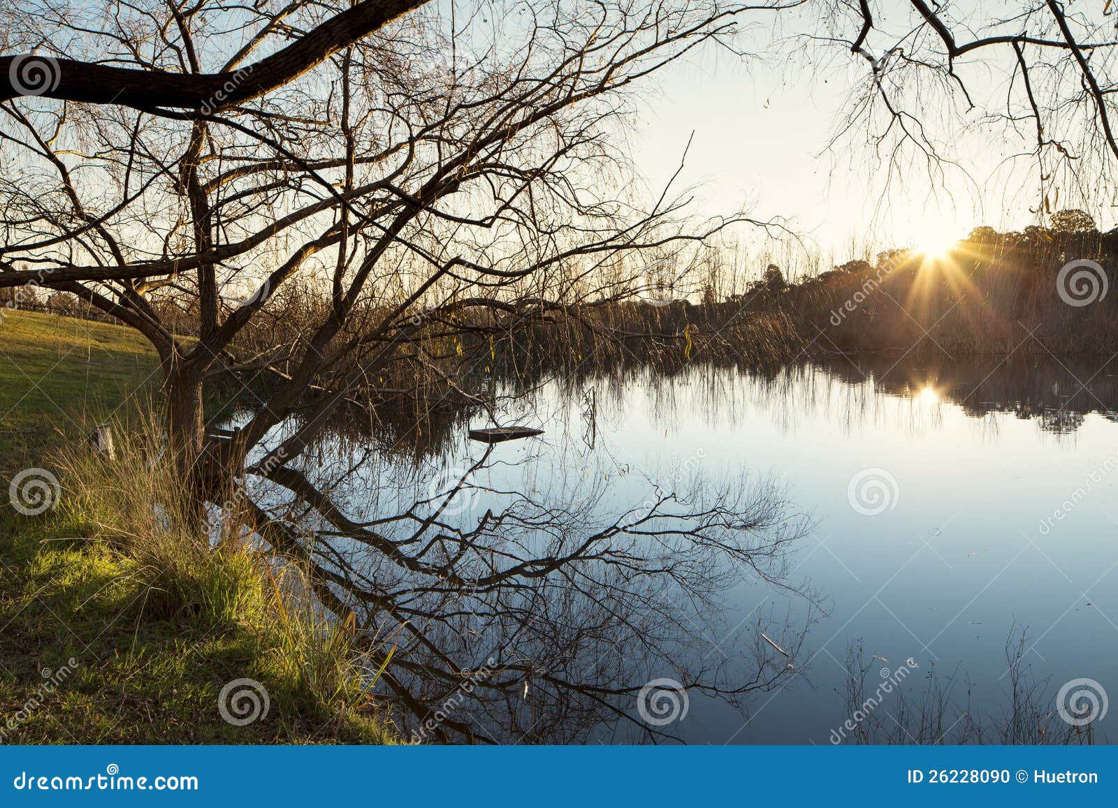 Pond at dusk stock photo. Image of urban, nature, backlit - 26228090