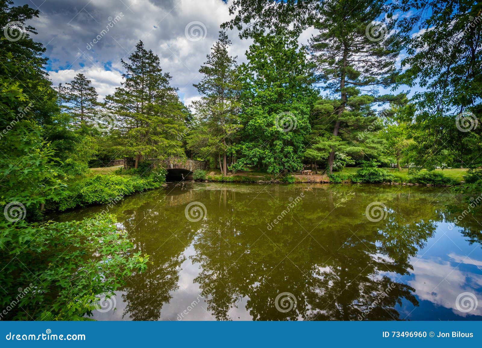 Pond at Elizabeth Park, in Hartford, Connecticut. Stock Photo - Image ...