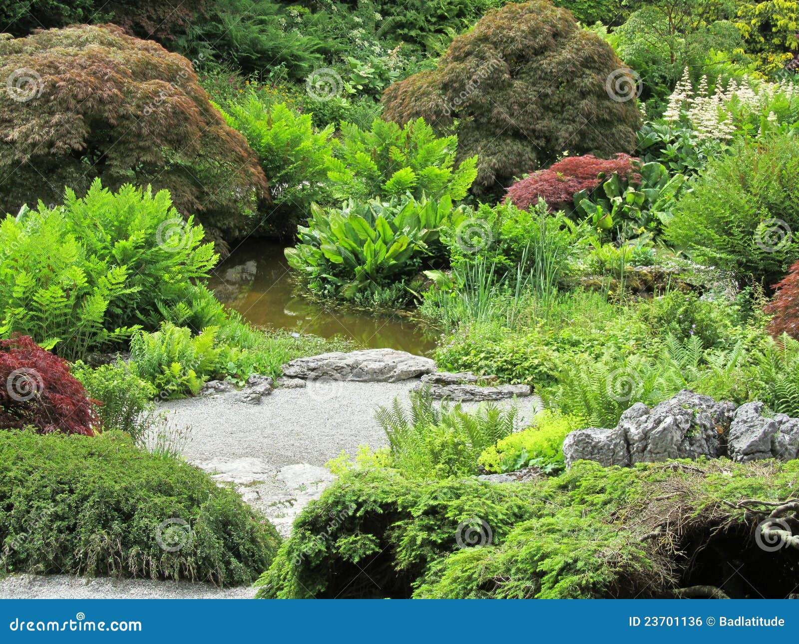 Pond in an English Garden stock photo. Image of england - 23701136