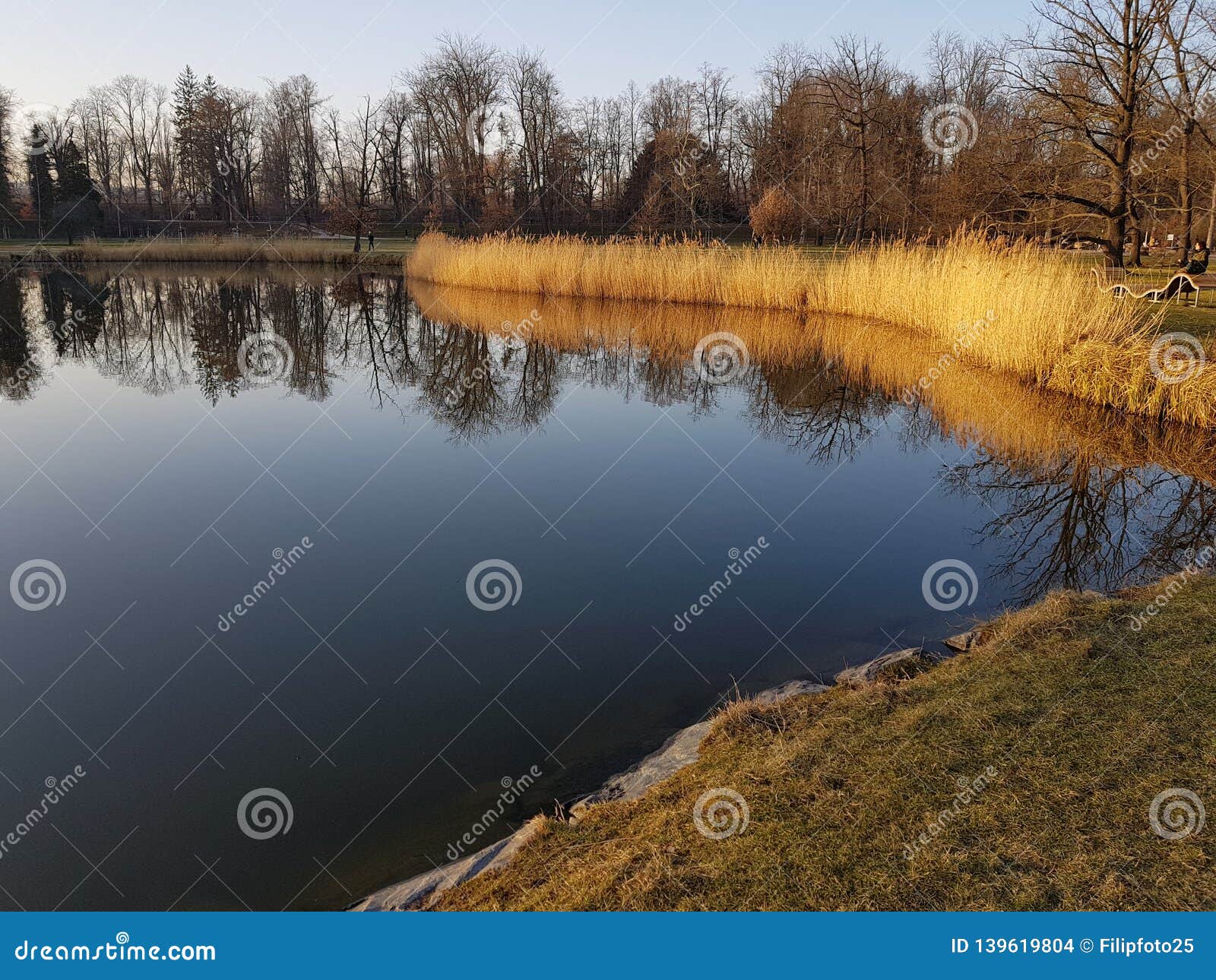 Pond in the evening stock photo. Image of graphics, green - 139619804