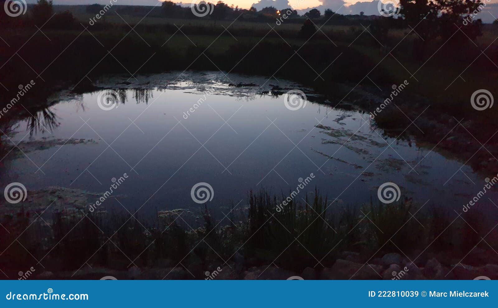 Pond in the evening stock image. Image of sunrise, algae - 222810039