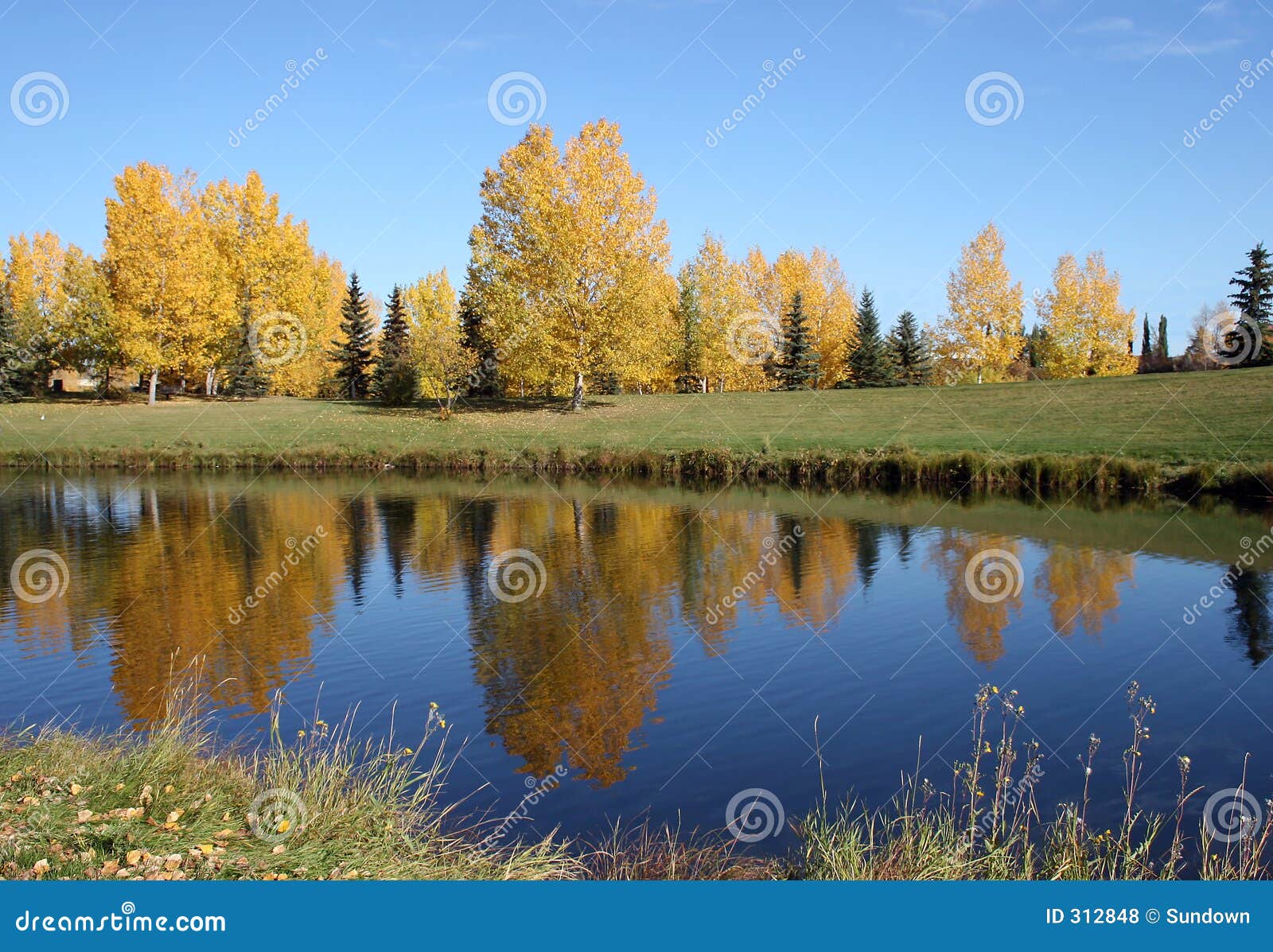 Pond in Fall 4 stock photo. Image of lake, leaves, fall - 312848