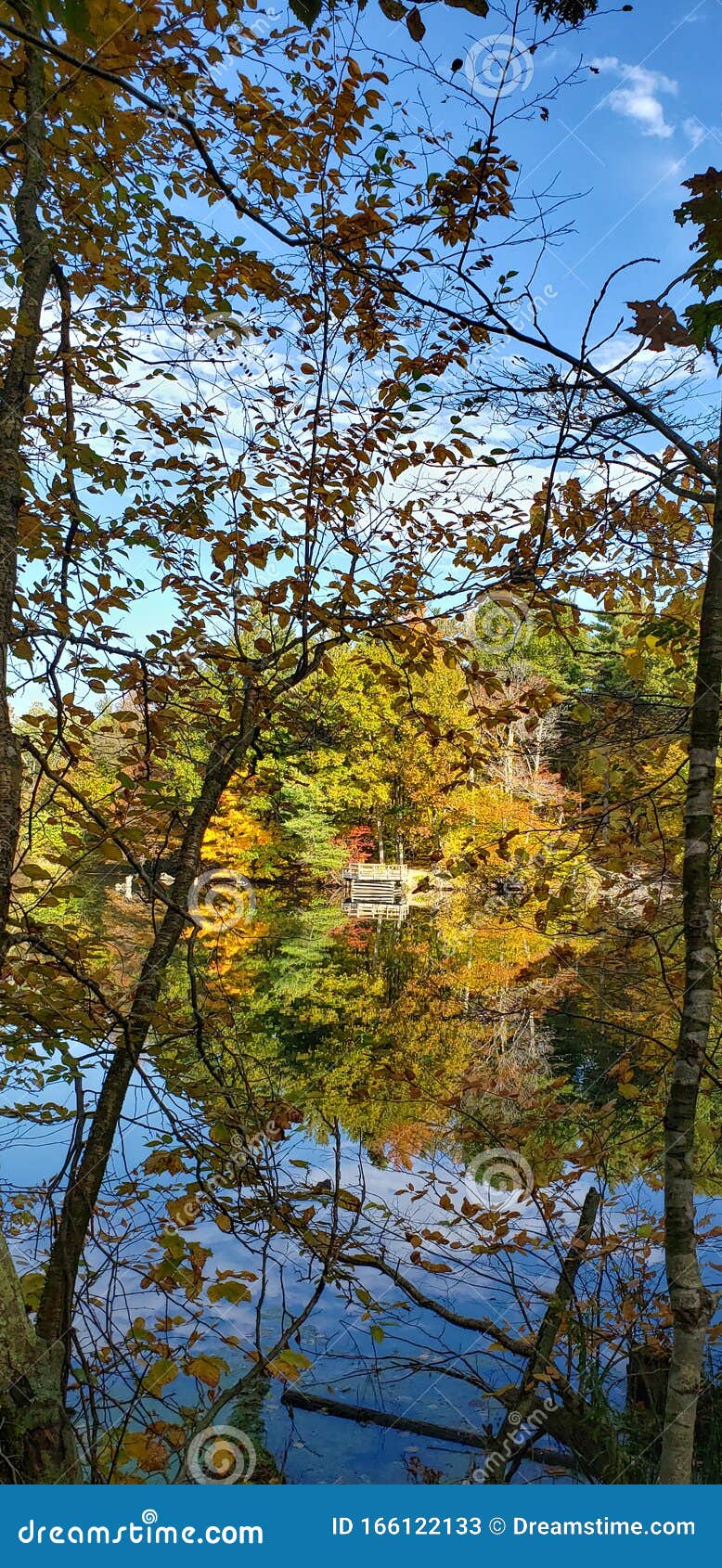 Pond in Fall stock image. Image of pond, nature, leaves - 166122133