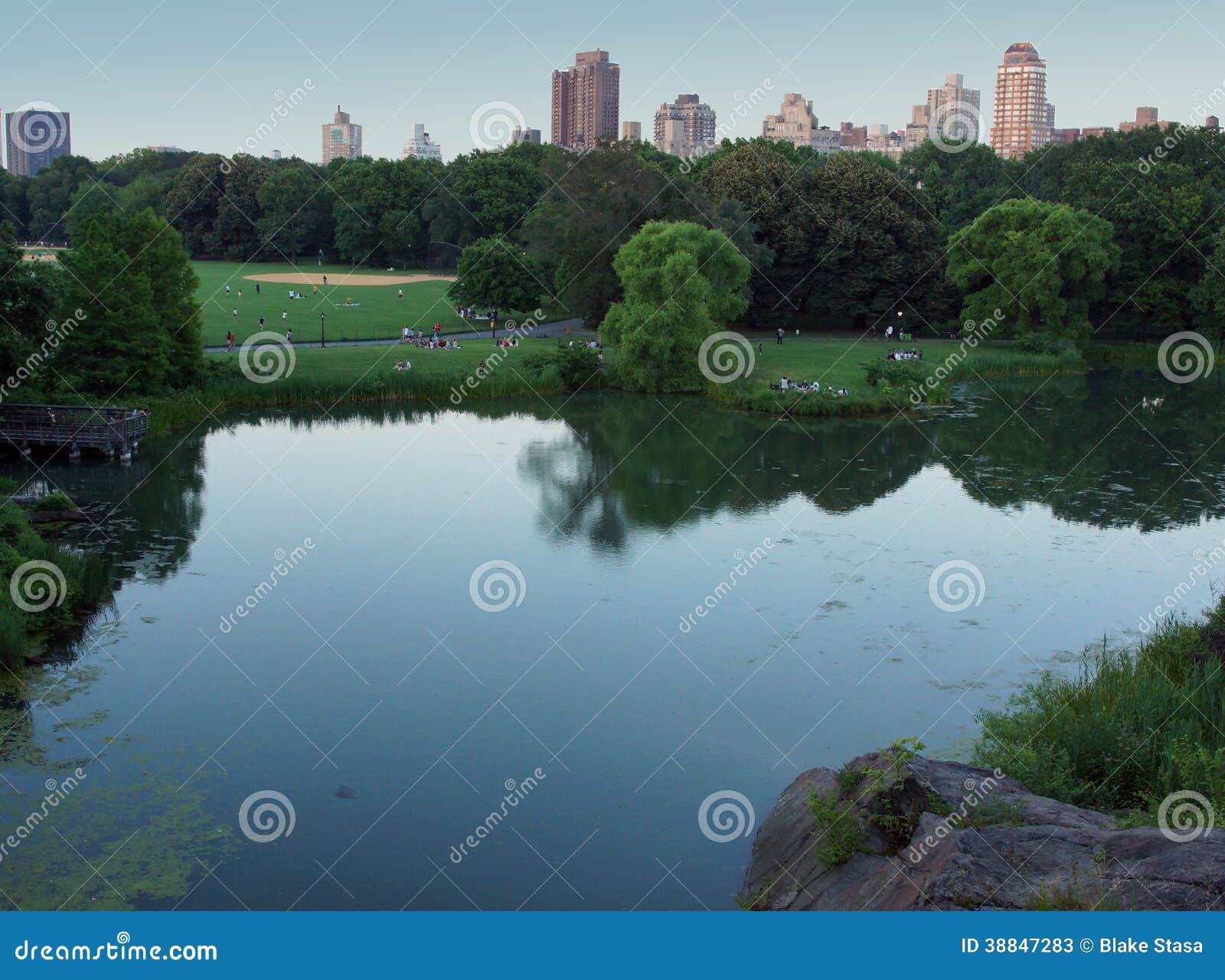 Pond and Field in Central Park Stock Image - Image of activities, rock ...
