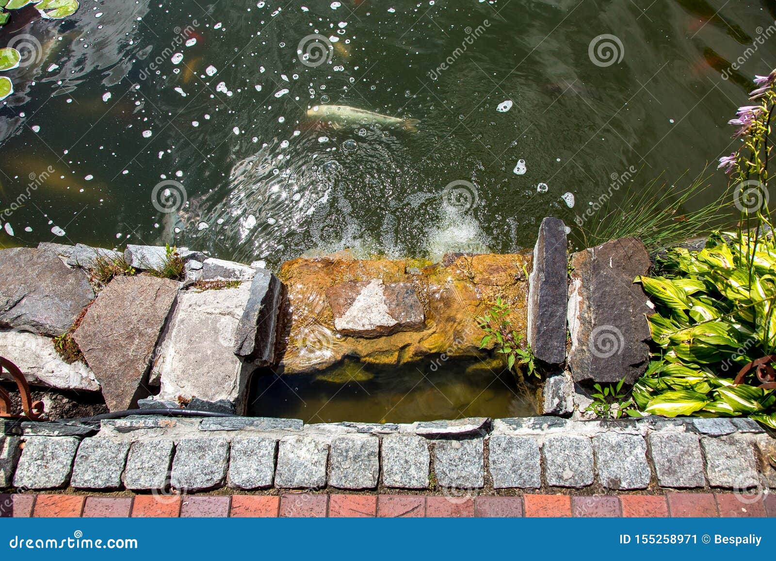 Pond with Fish and Artificial Waterfall Made of Stones. Stock Image ...