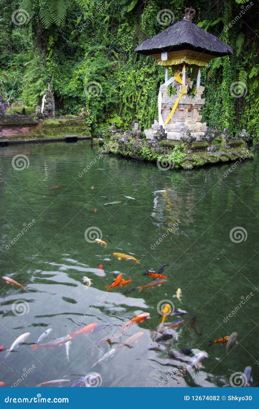 Pond and Fish in a Temple in Bali Stock Photo - Image of fish ...