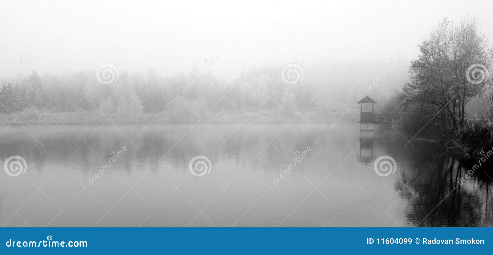 Pond in fog stock image. Image of gloom, lake, forest - 11604099