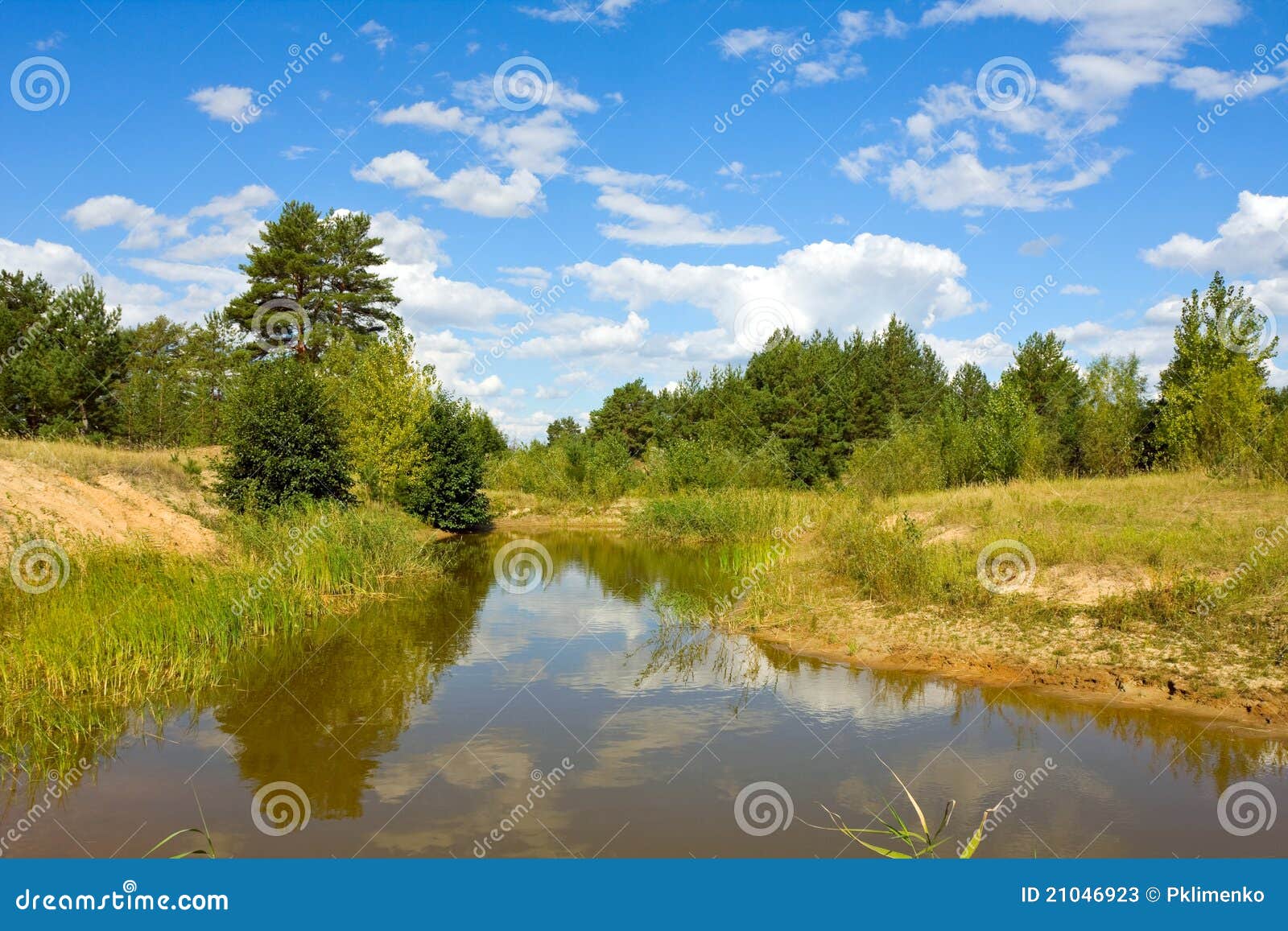 Pond in forest stock image. Image of park, spring, quiet - 21046923