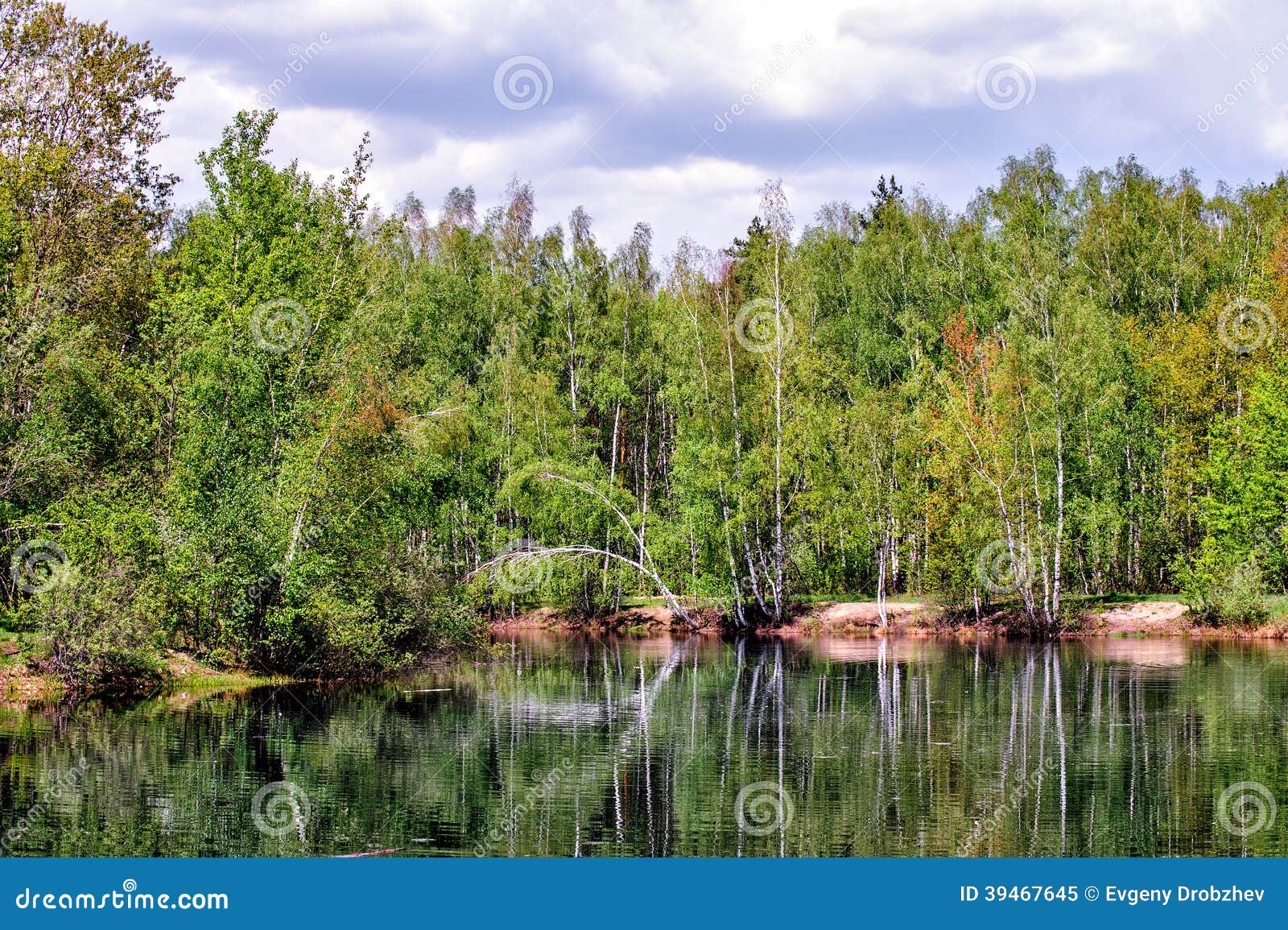 Pond in forest stock image. Image of outdoor, spring - 39467645