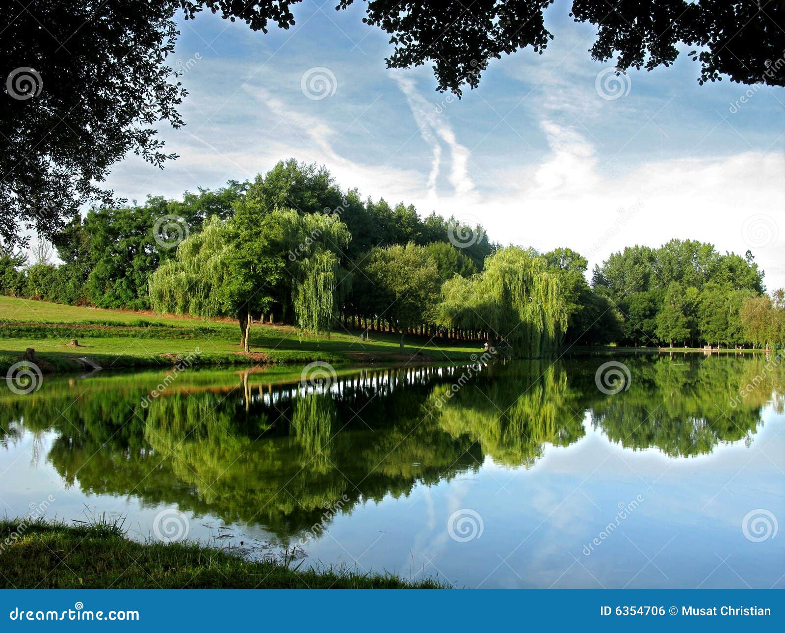 Pond in France stock photo. Image of nature, sarthe, symmetry - 6354706
