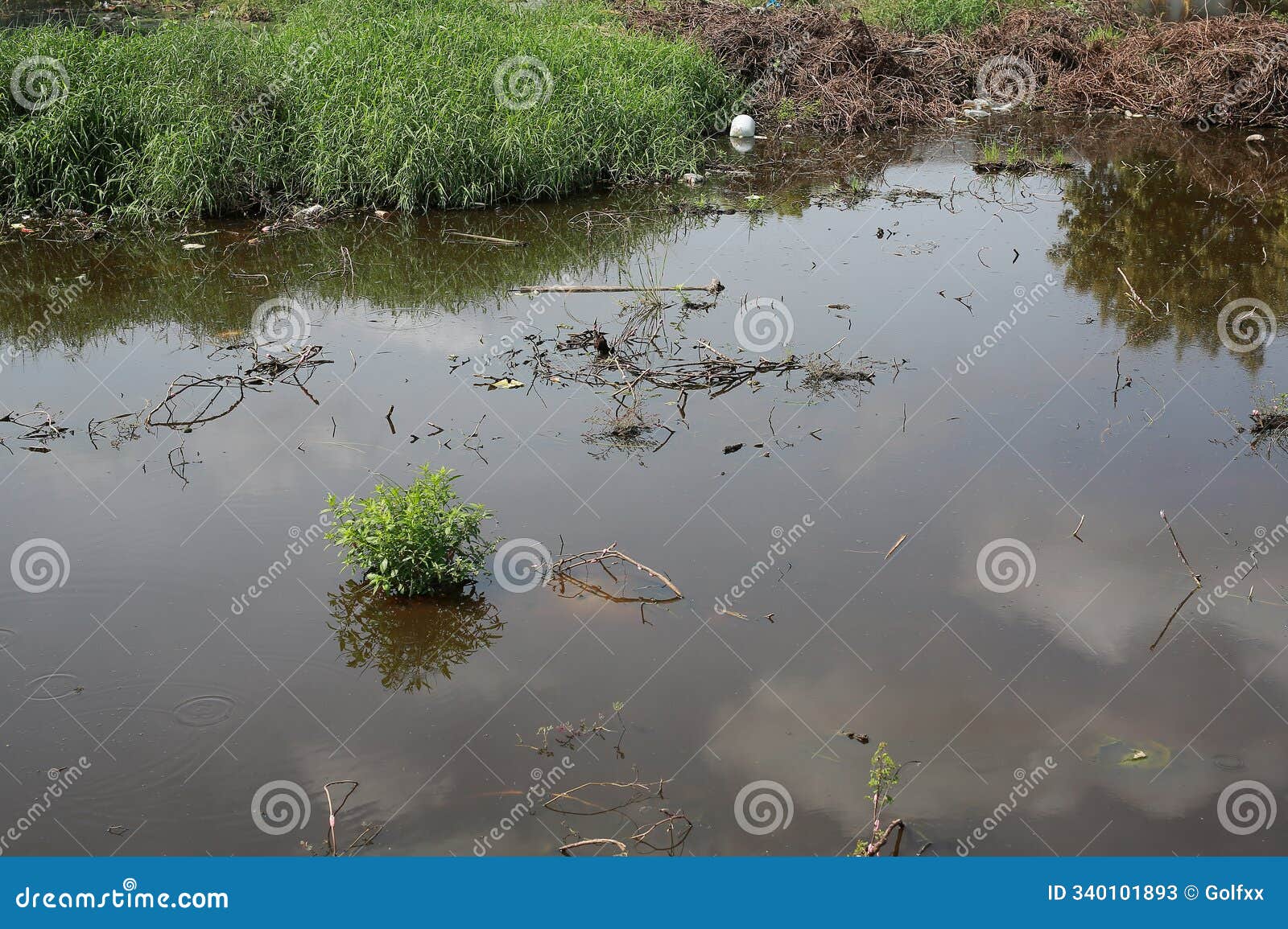 Pond with Garbage, Environmental Problems. There are a Lot of Waste in ...