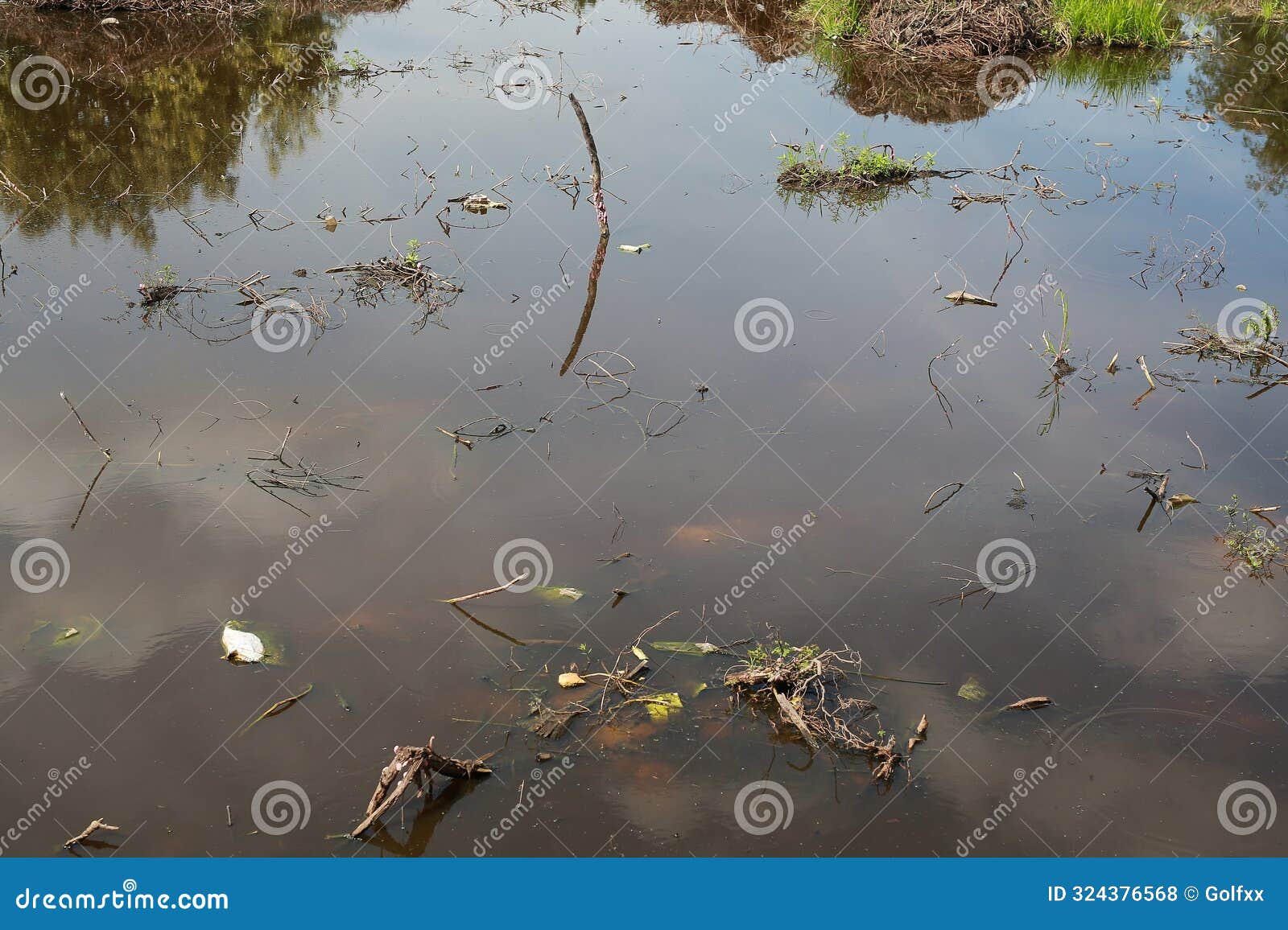 Pond with Garbage, Environmental Problems. There are a Lot of Waste in ...