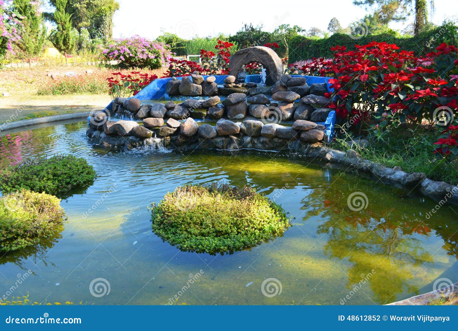 Pond garden stock photo. Image of flowers, scenery, nature - 48612852