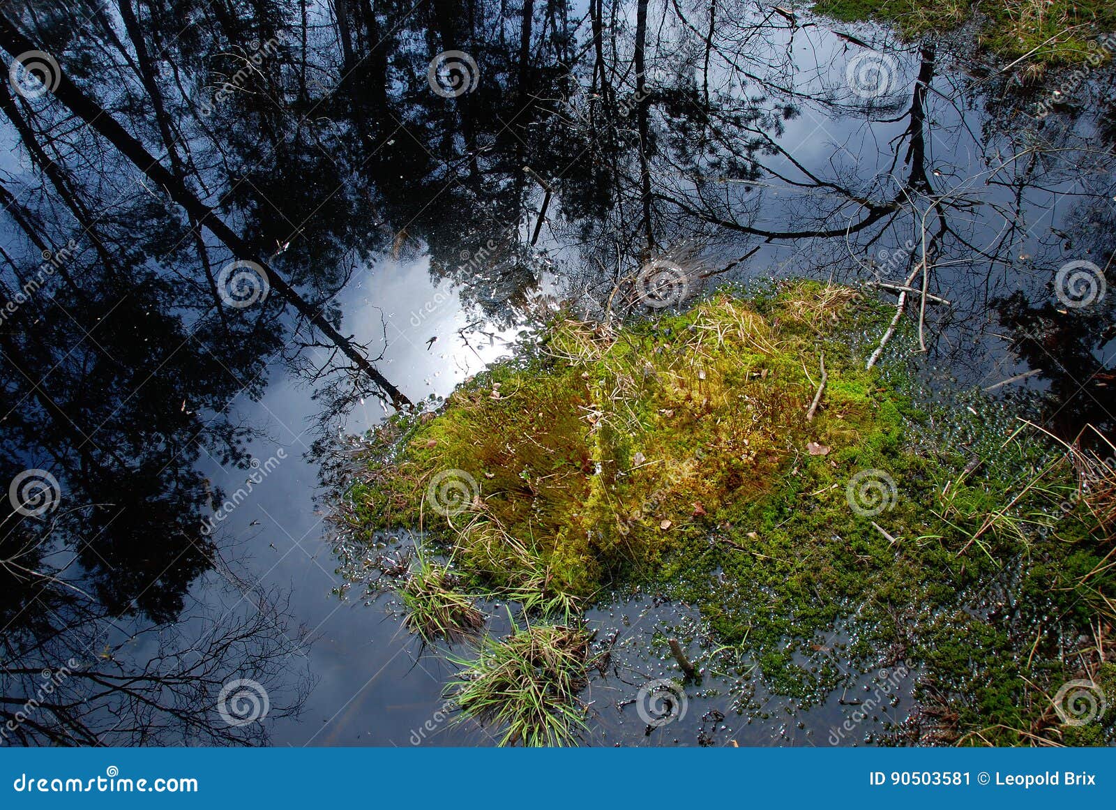 Pond of a Hill Moor with Moss Isle Stock Image - Image of quarter ...