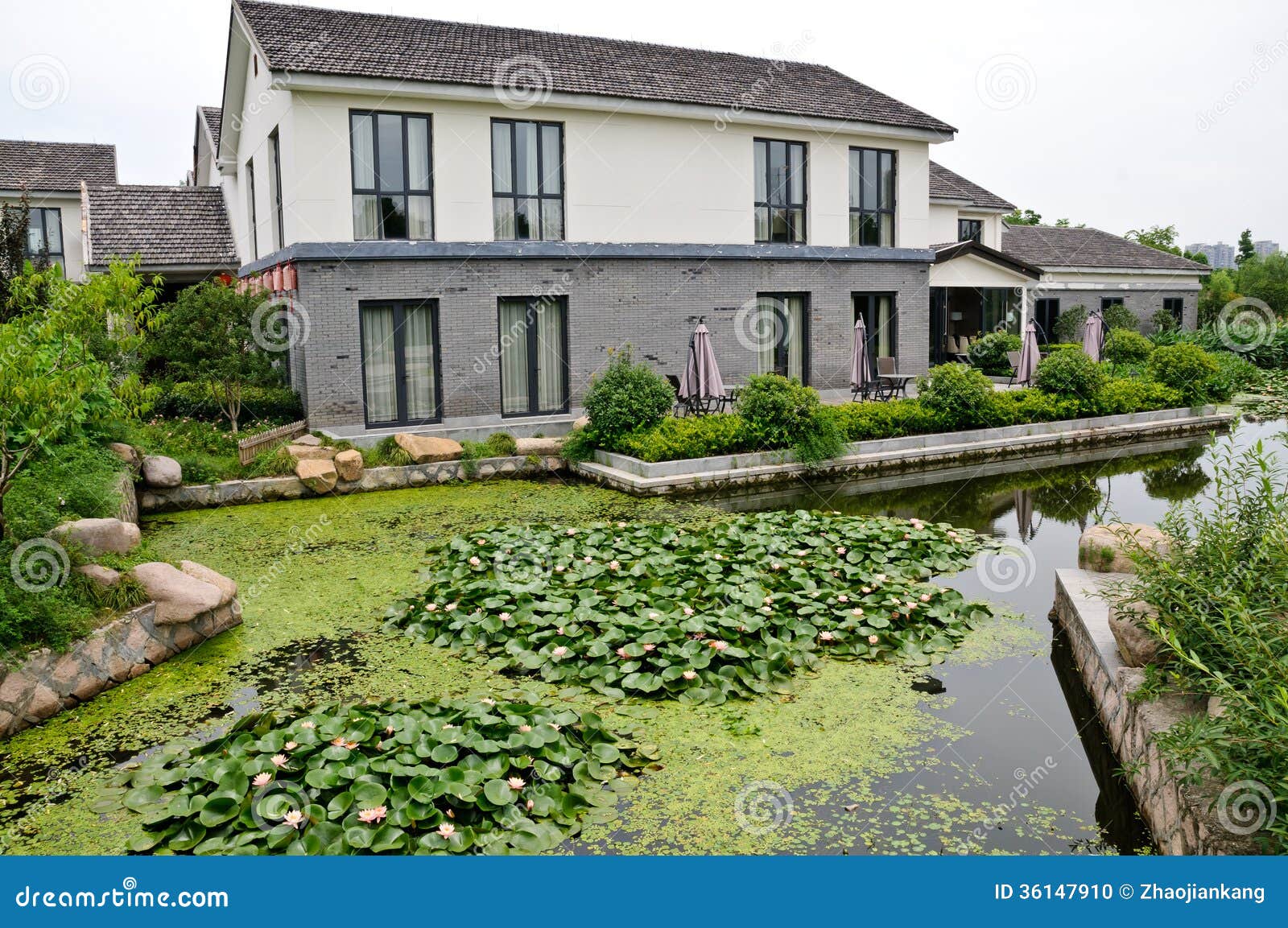The pond house stock photo. Image of courtyard, architectural - 36147910