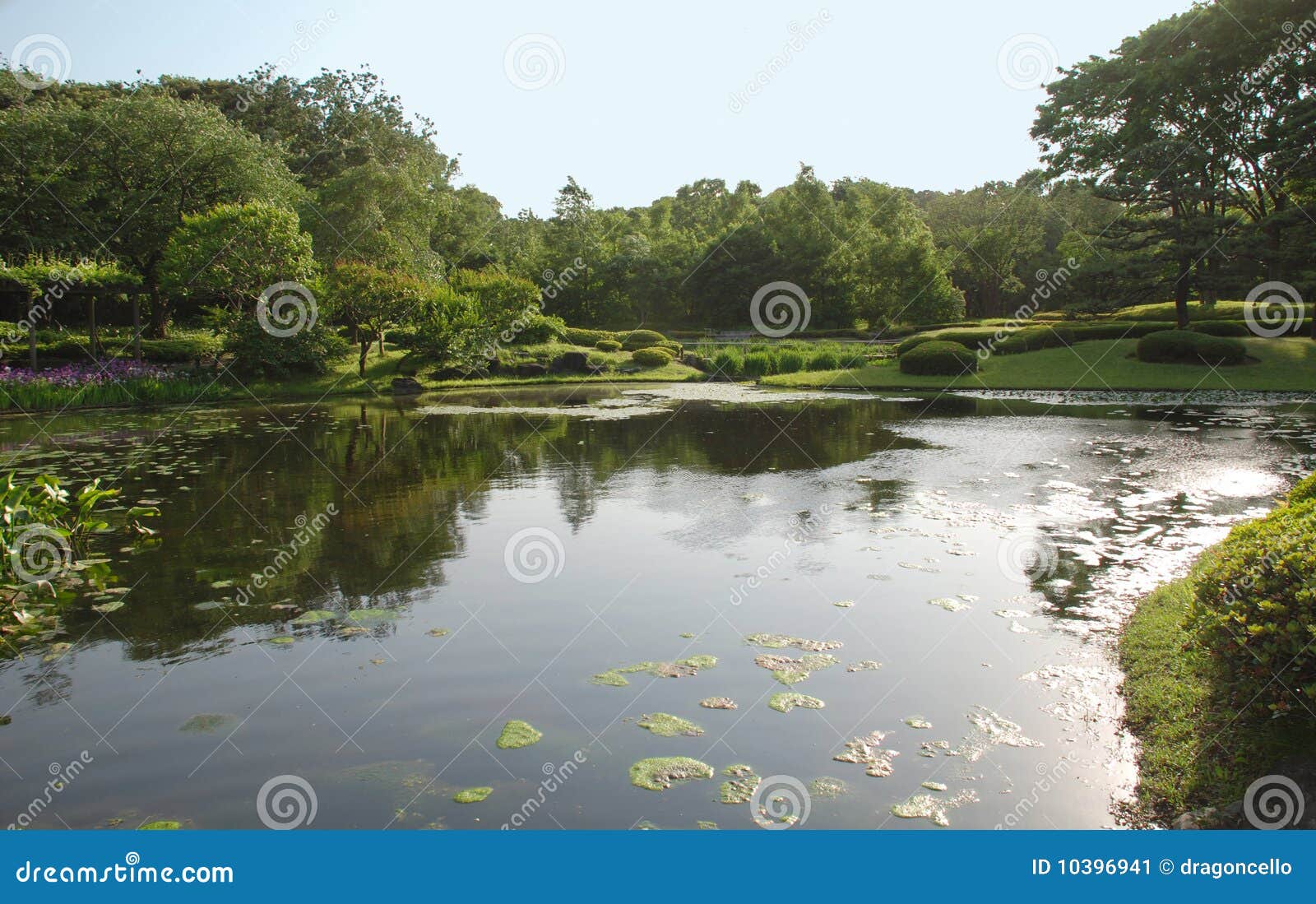 Pond in Imperial Palace Gardens Stock Image - Image of garden, green ...