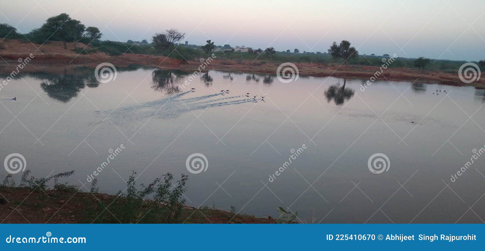 Pond in Indian village stock photo. Image of nature - 225410670