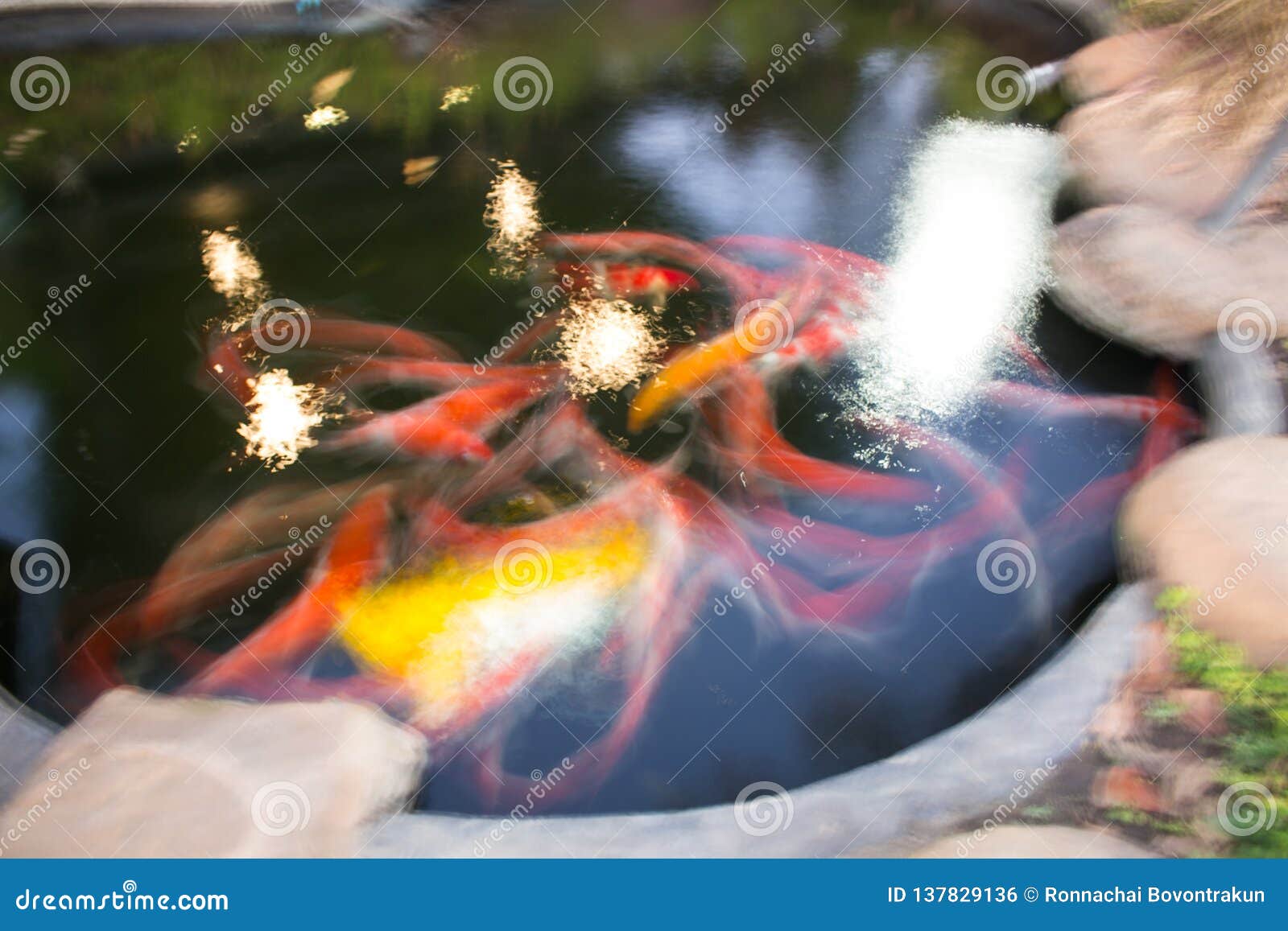 Pond with Koi Swimming with Abstract Light Reflection in Water,blur ...