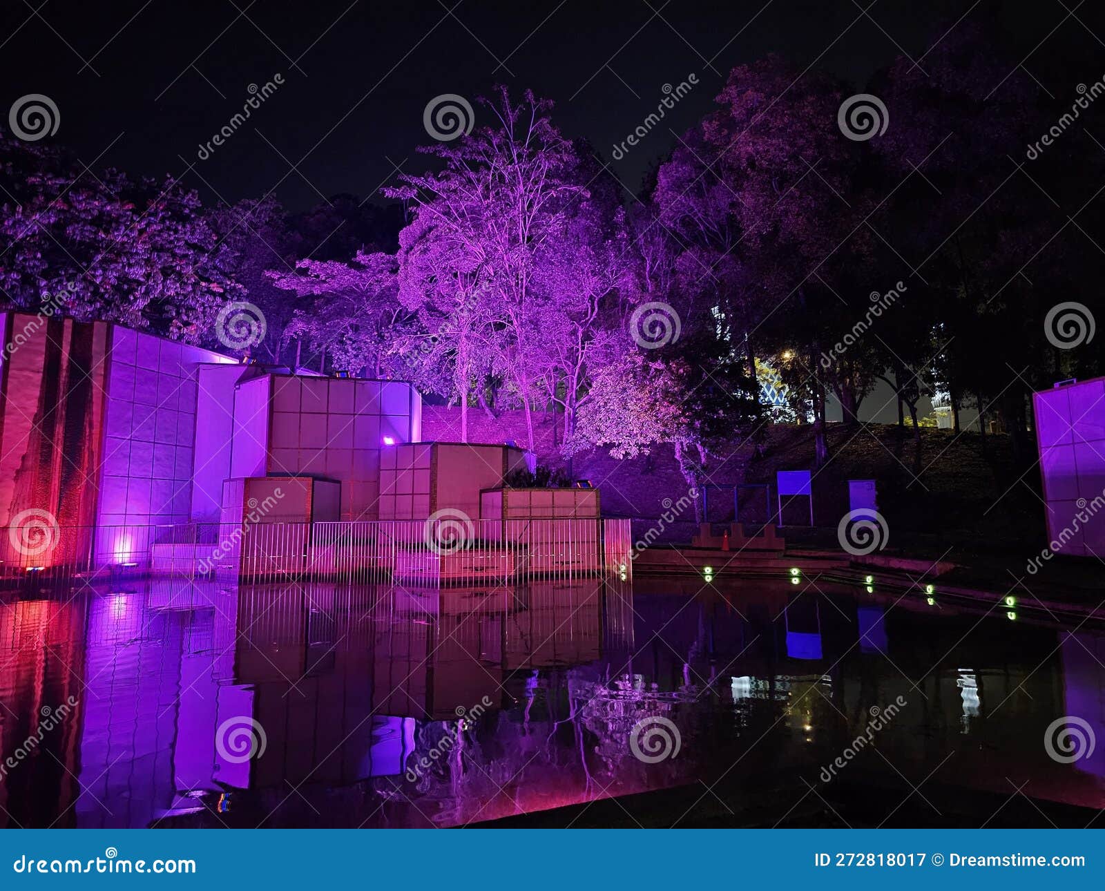 Pond Landscape at Night Beautiful Attractive Light Colour Stock Image ...