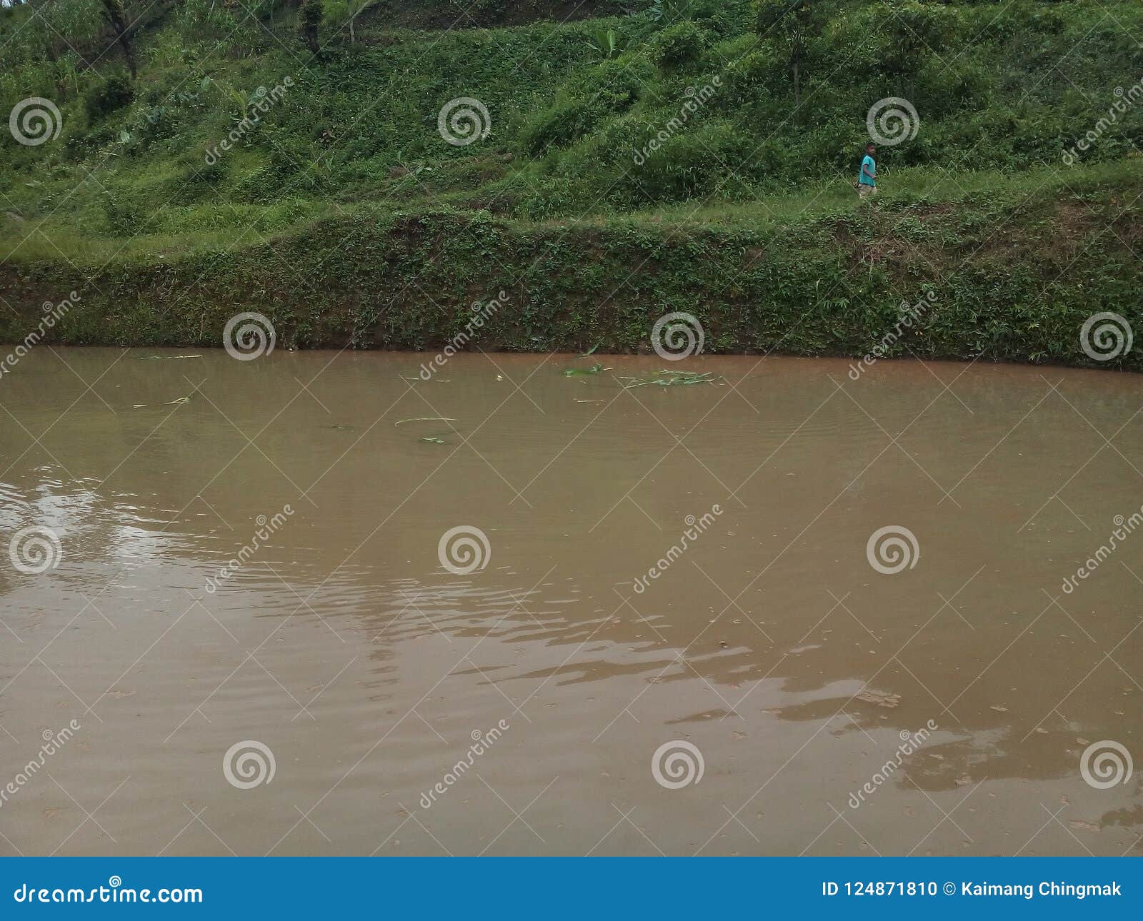 Pond stock photo. Image of pond, rearing, local, fish - 124871810