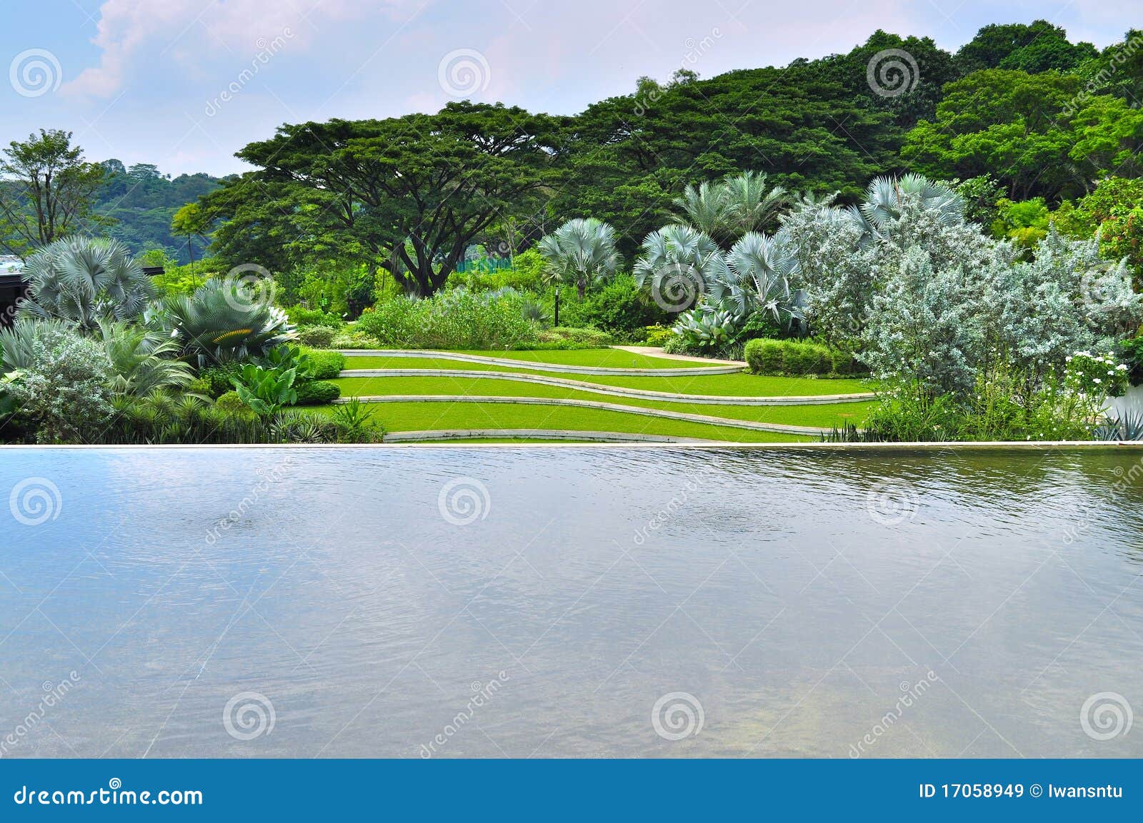 Lush Greenery By Lower Seletar Reservoir At Night Stock Photography ...