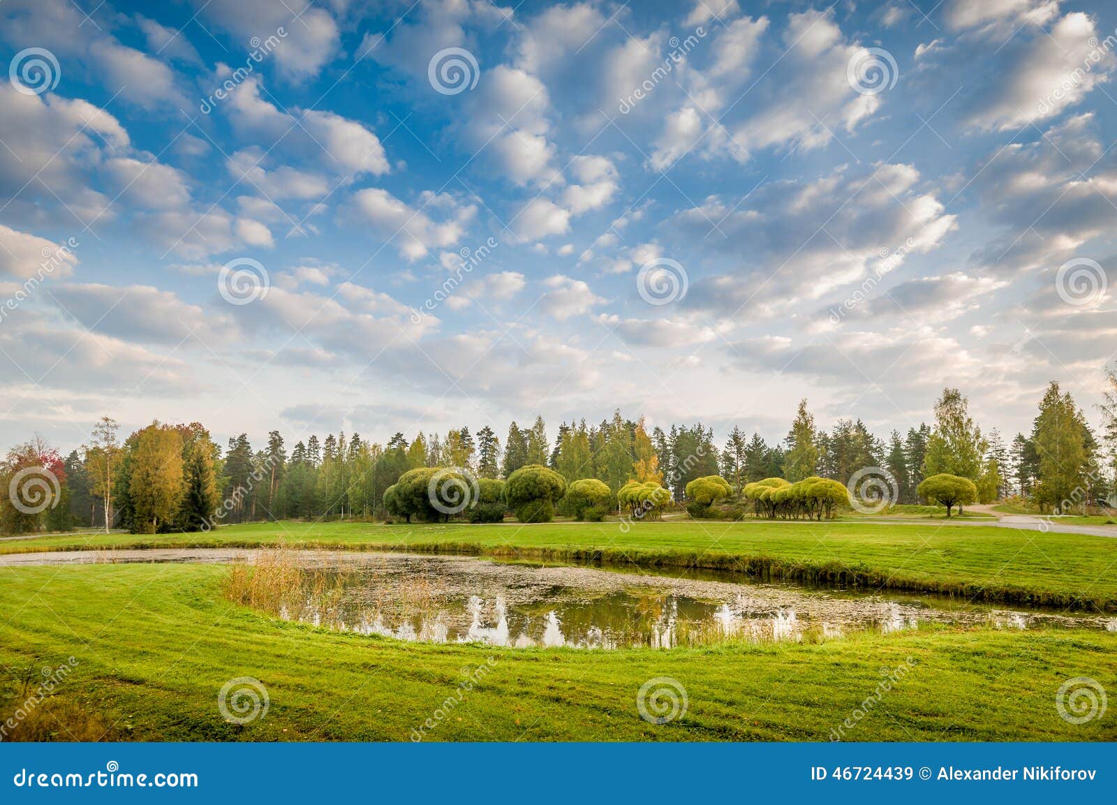 Pond in meadow stock image. Image of scene, nonurban - 46724439