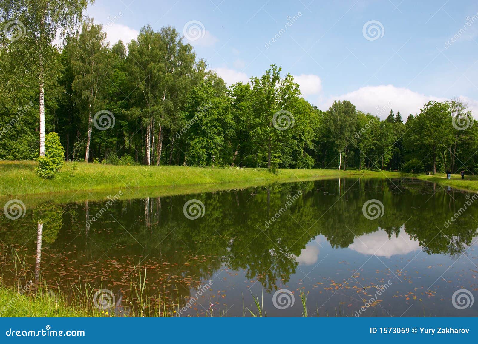 Pond mirror stock image. Image of clear, grass, clouds - 1573069