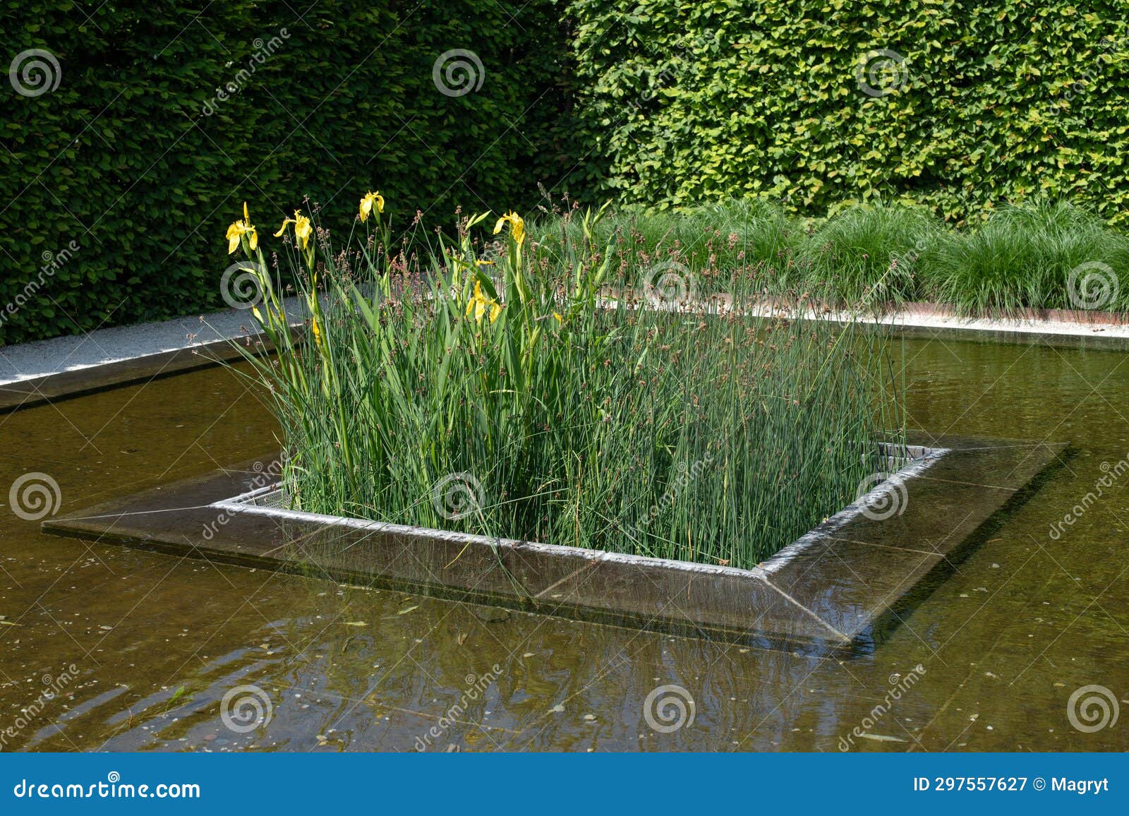 A Pond in a Modern Landscape Park. Minimalist Geometrical Landscape ...