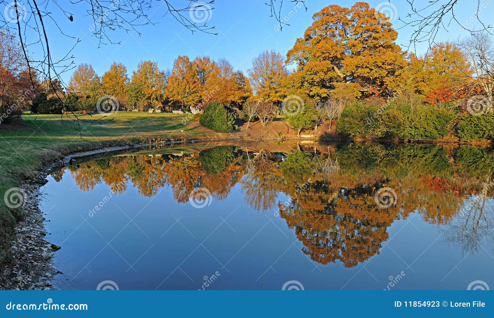 Pond in the Park stock image. Image of pond, lake, green - 11854923
