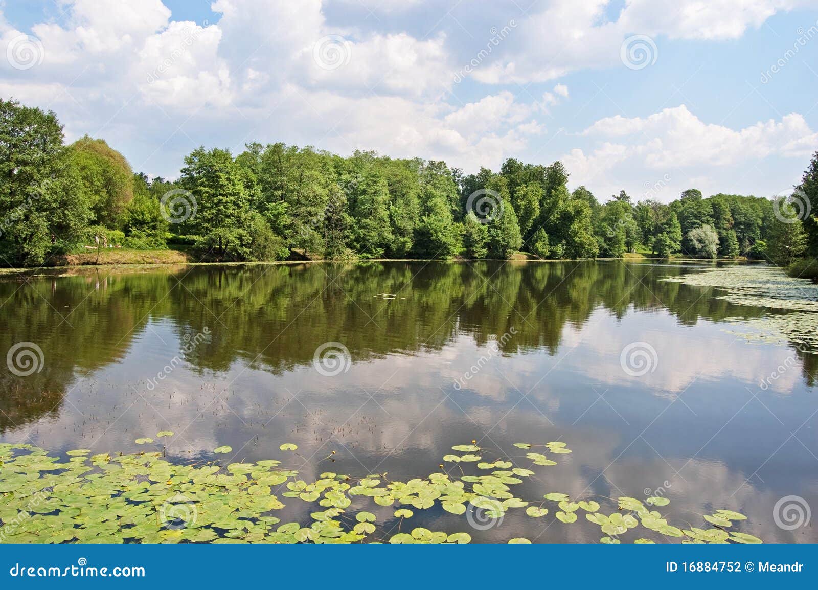 Pond in park stock photo. Image of landscape, colored - 16884752