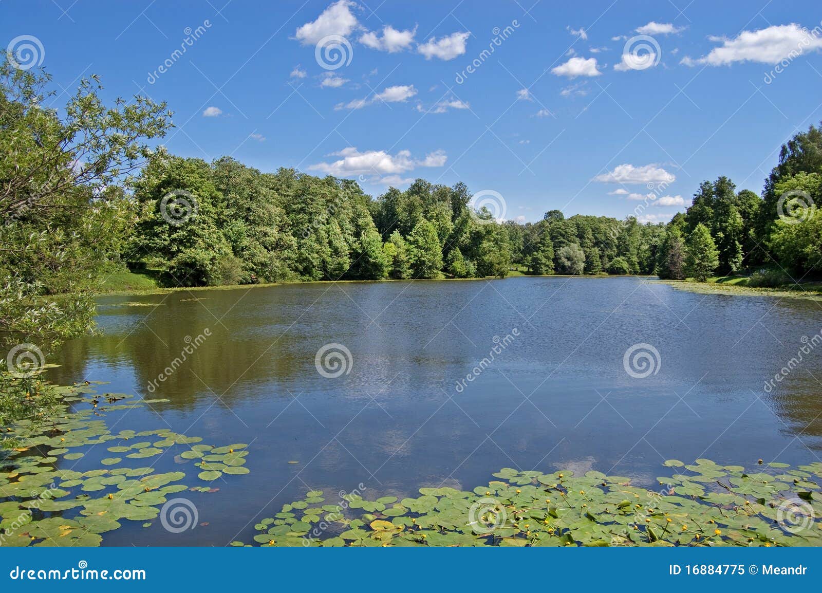 Pond in park stock image. Image of leaf, landscape, green - 16884775