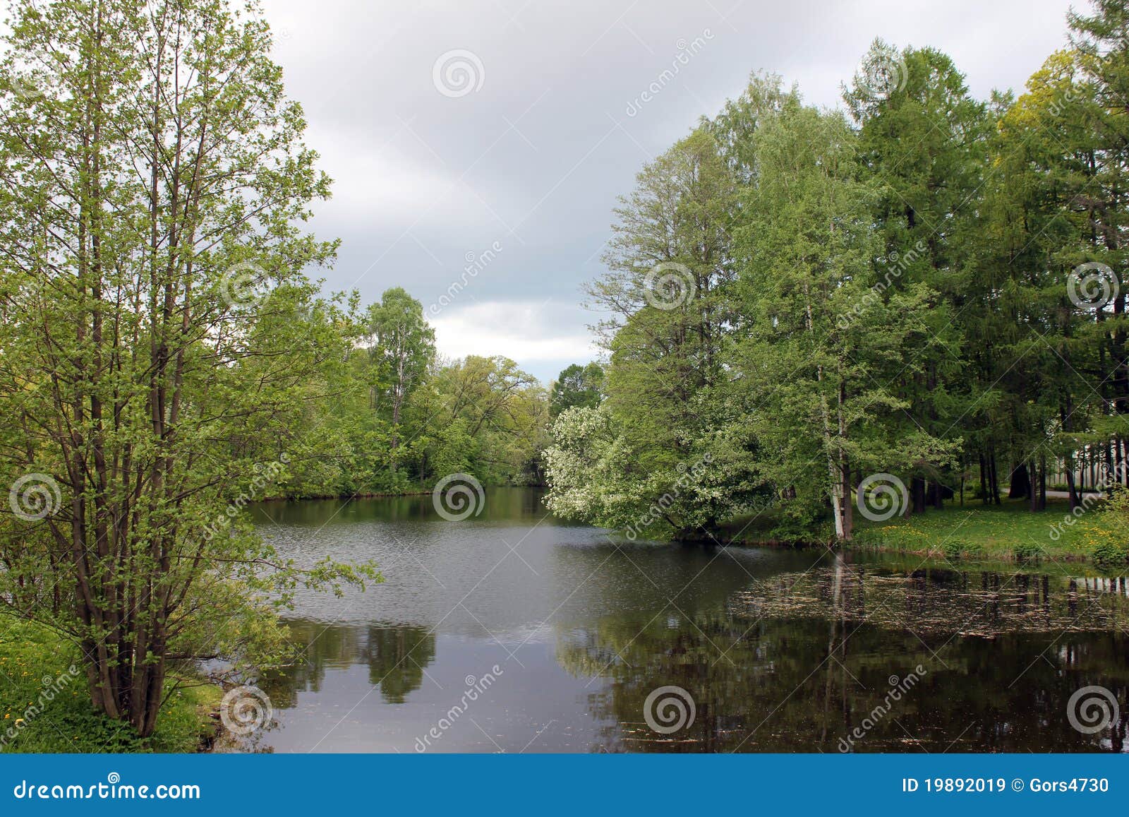 Pond in the Park stock image. Image of grass, tranquil - 19892019