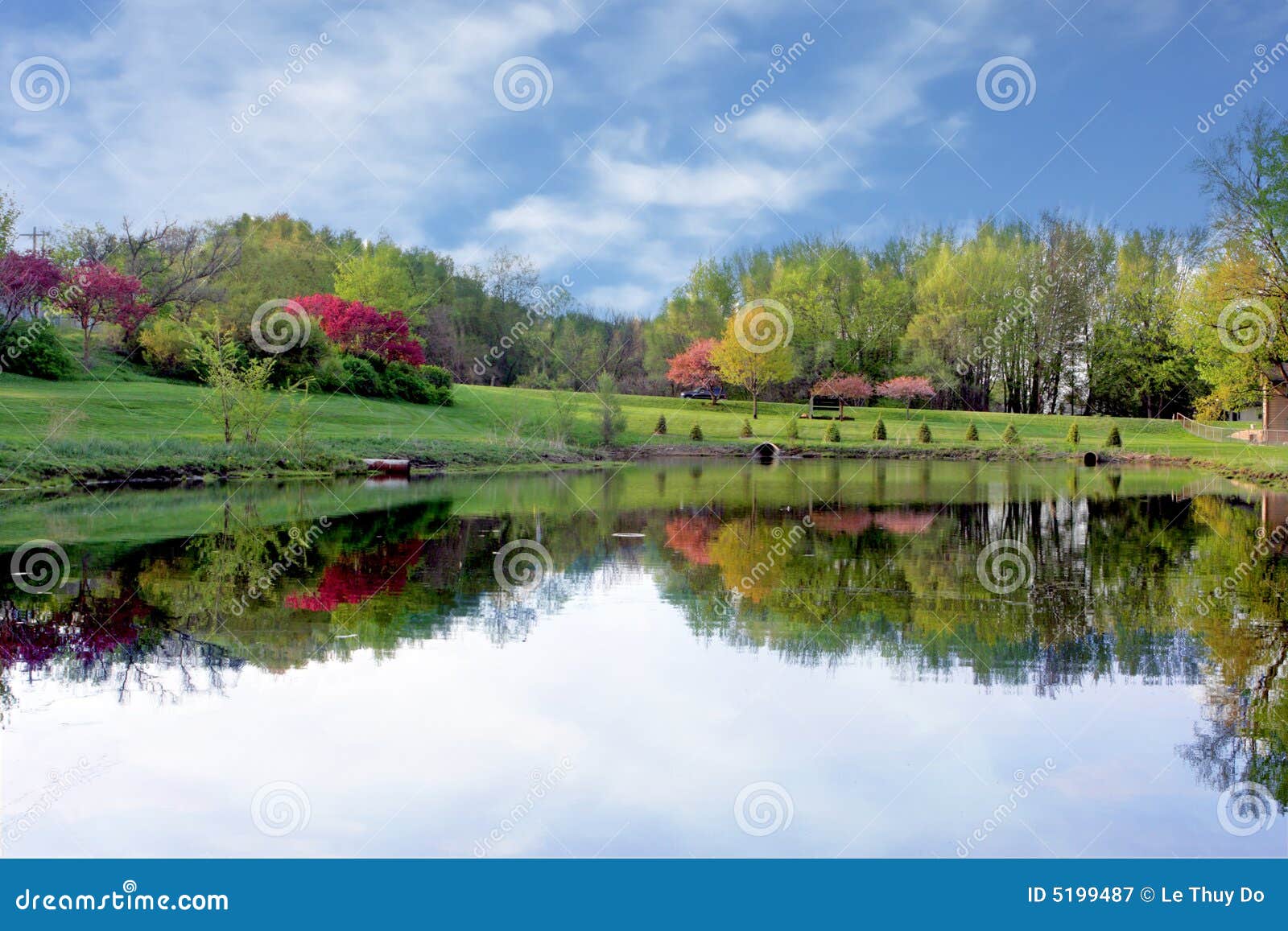 Pond in the park stock image. Image of calm, shinto, relaxation - 5199487