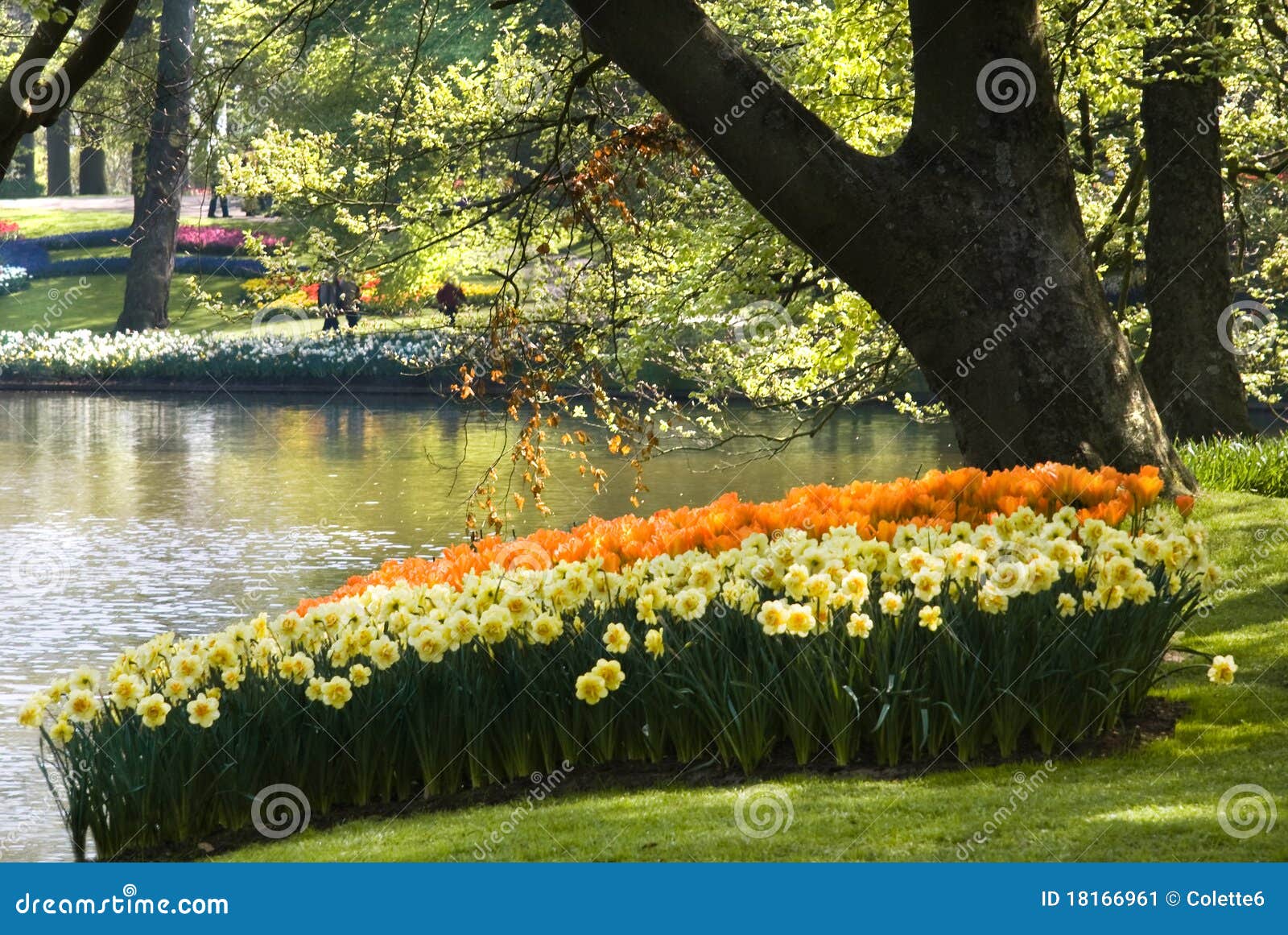 Pond in Park with Arrangement of Springflowers Stock Image - Image of ...