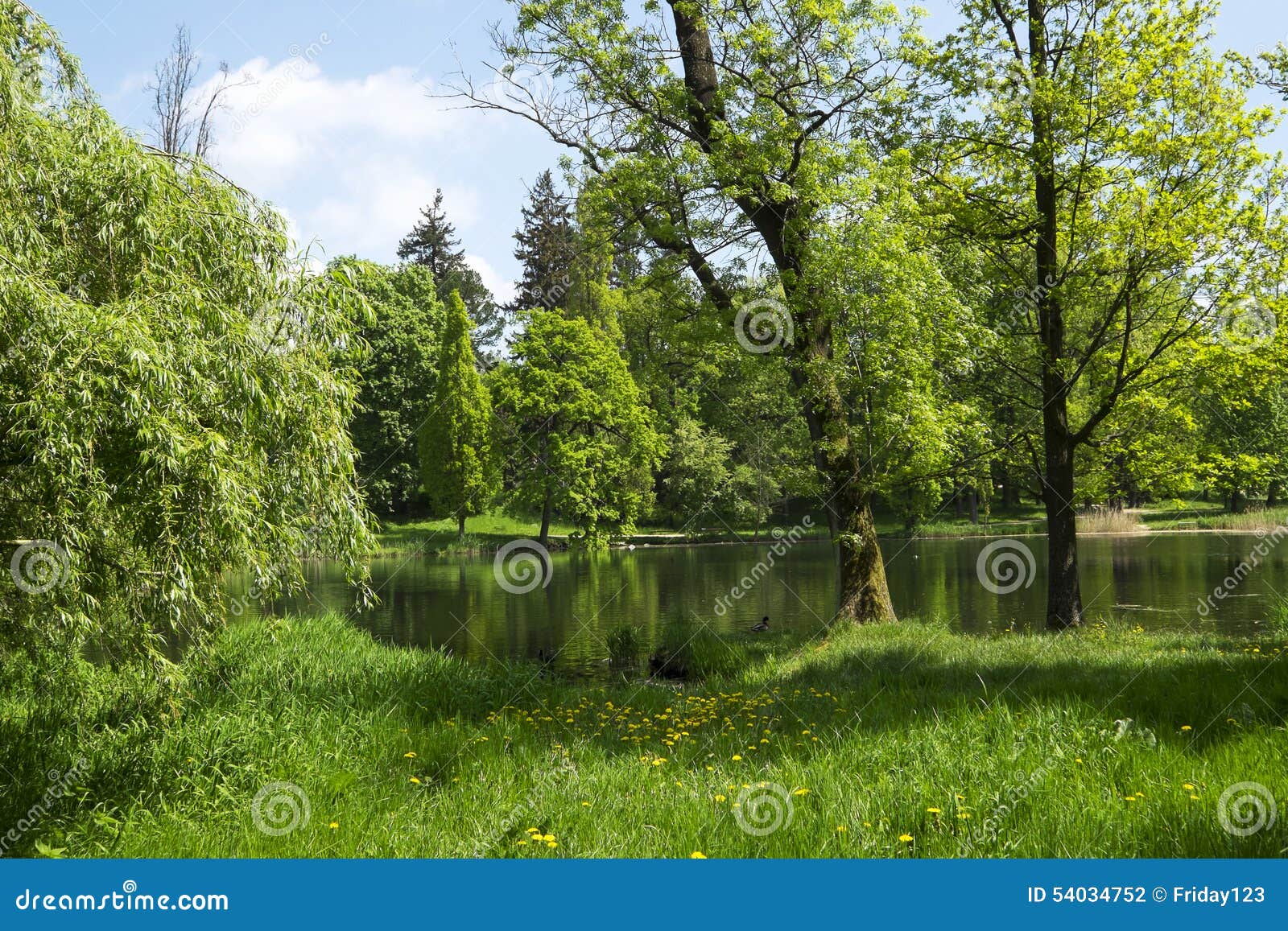 Pond in the park stock photo. Image of czech, plants - 54034752