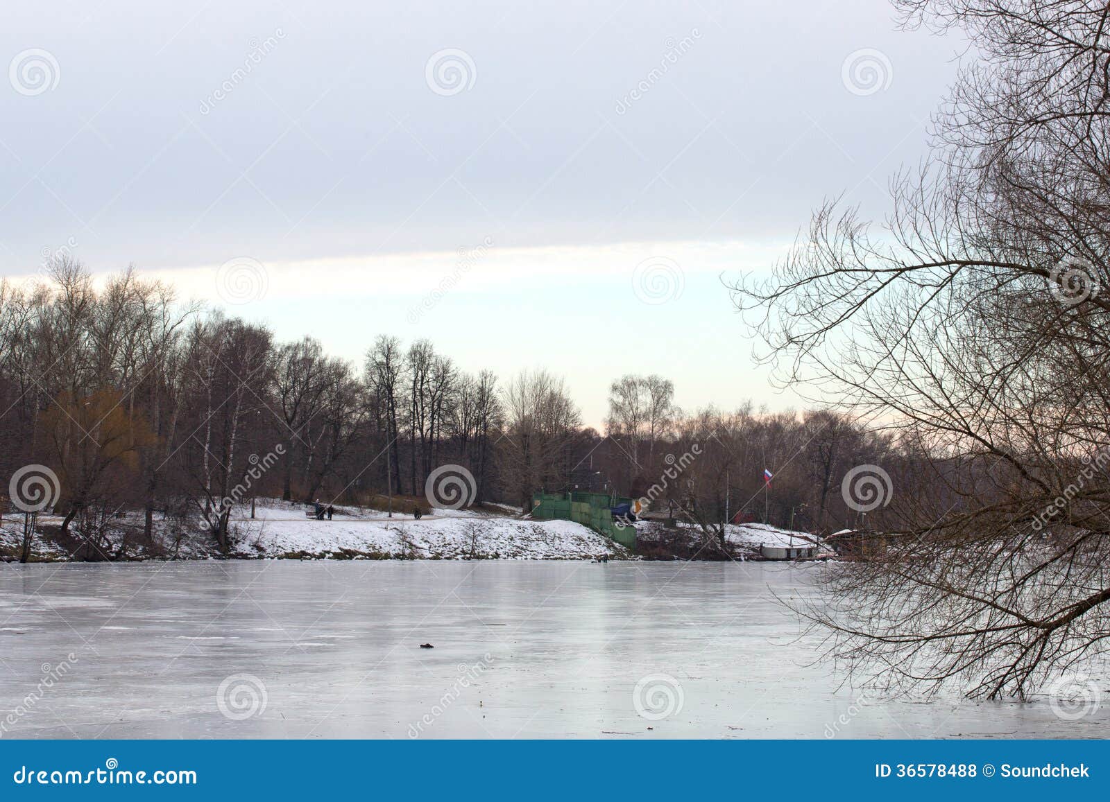 Pond in the Park stock photo. Image of pond, sunny, surface - 36578488