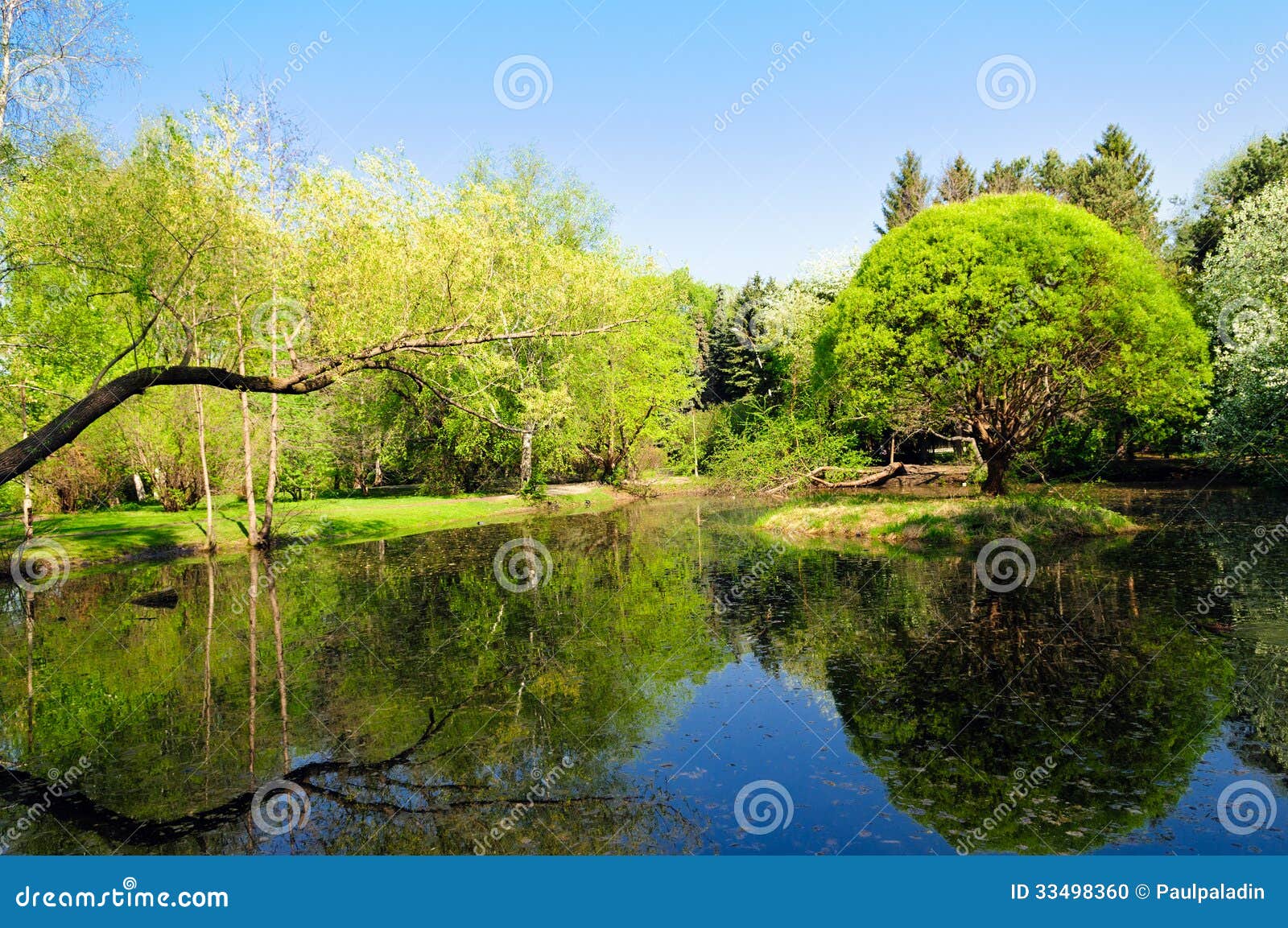 Pond in park landscape stock photo. Image of cypresses - 33498360