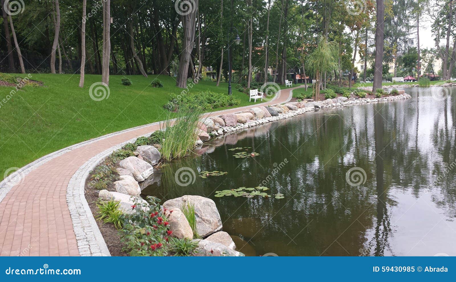 Pond in the park stock image. Image of water, nature - 59430985